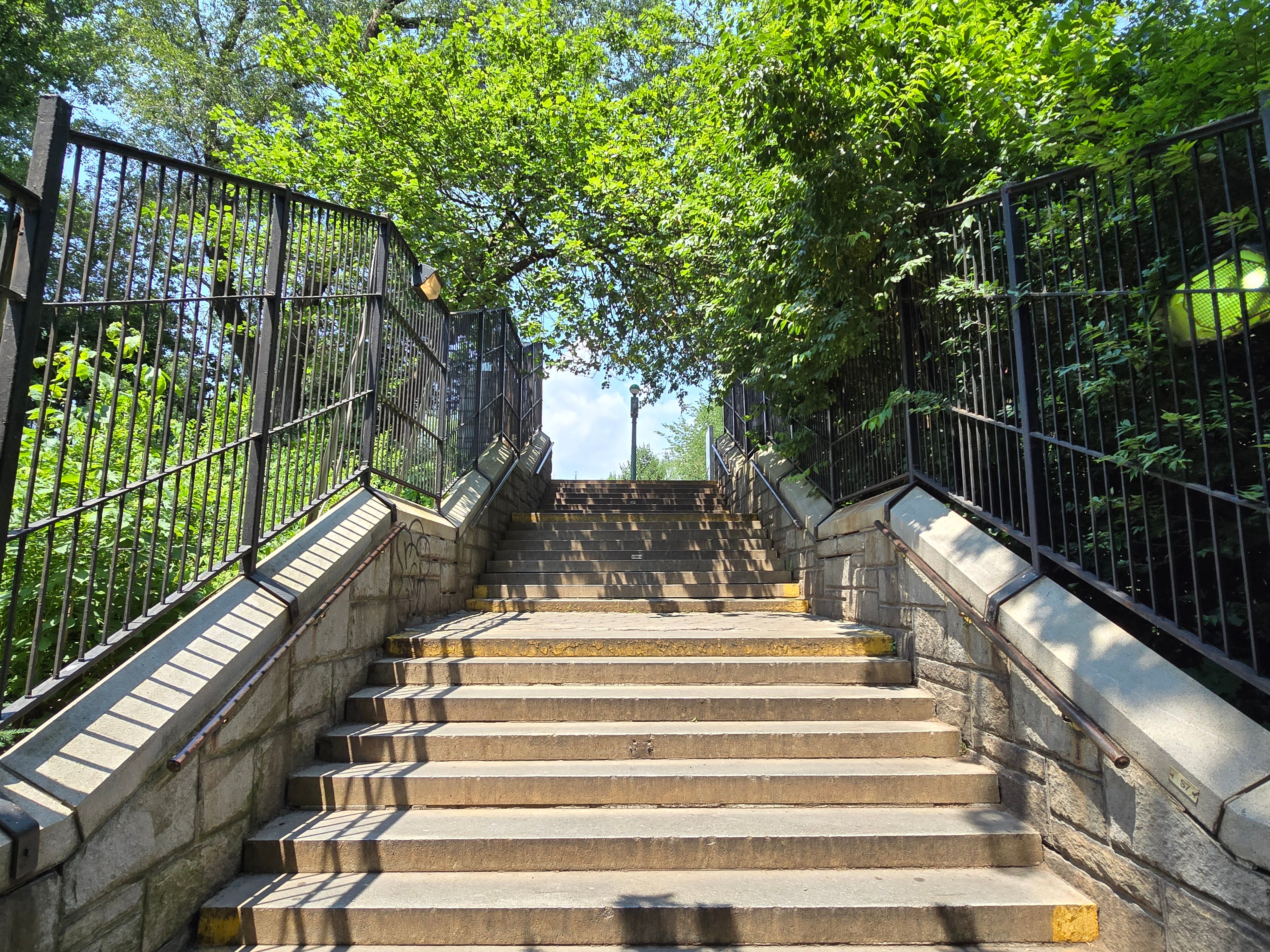 A set of stairs leading up to a gate · Free Stock Photo