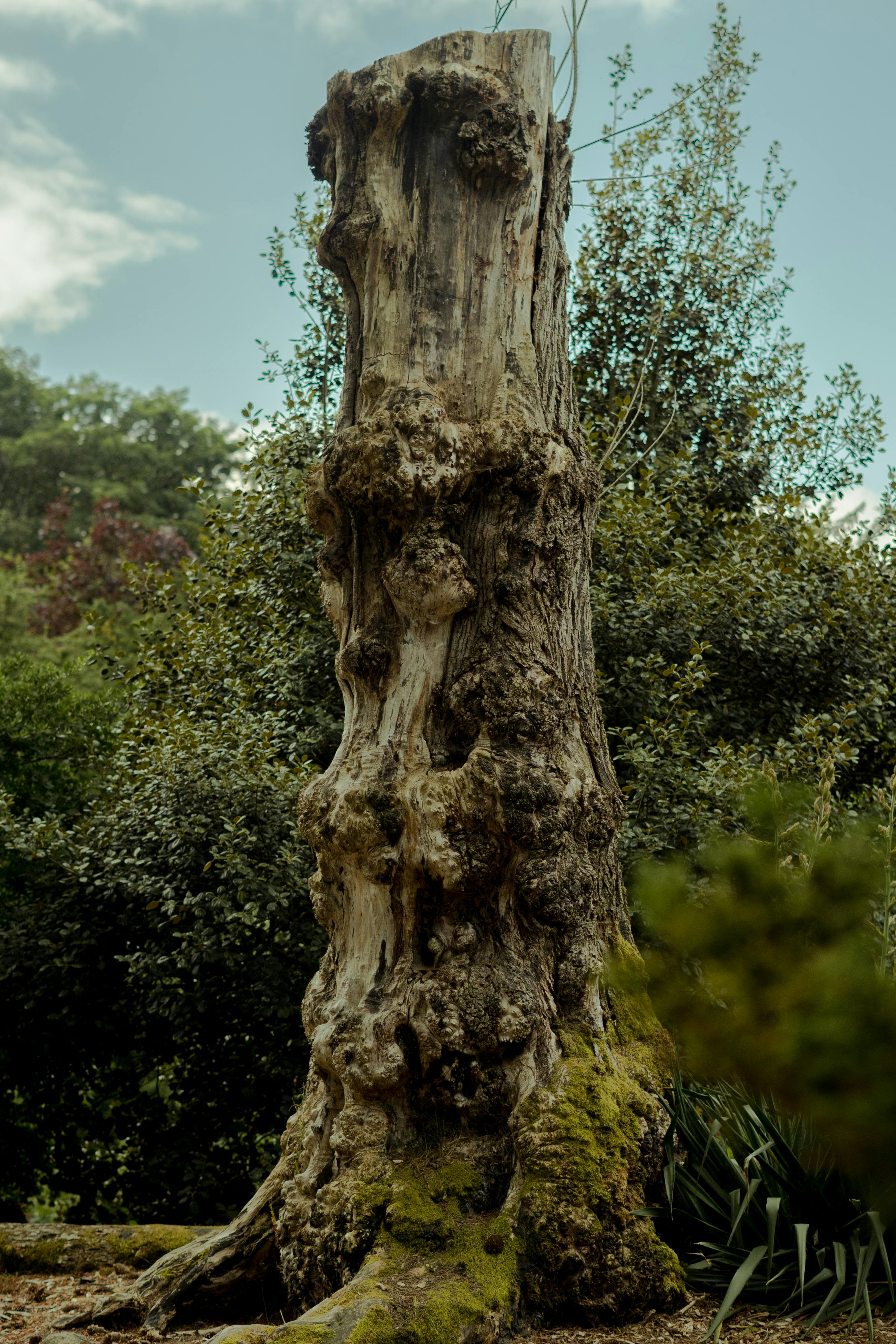 Instrukcja Node Photos, Download The BEST Free Instrukcja Node Stock ...