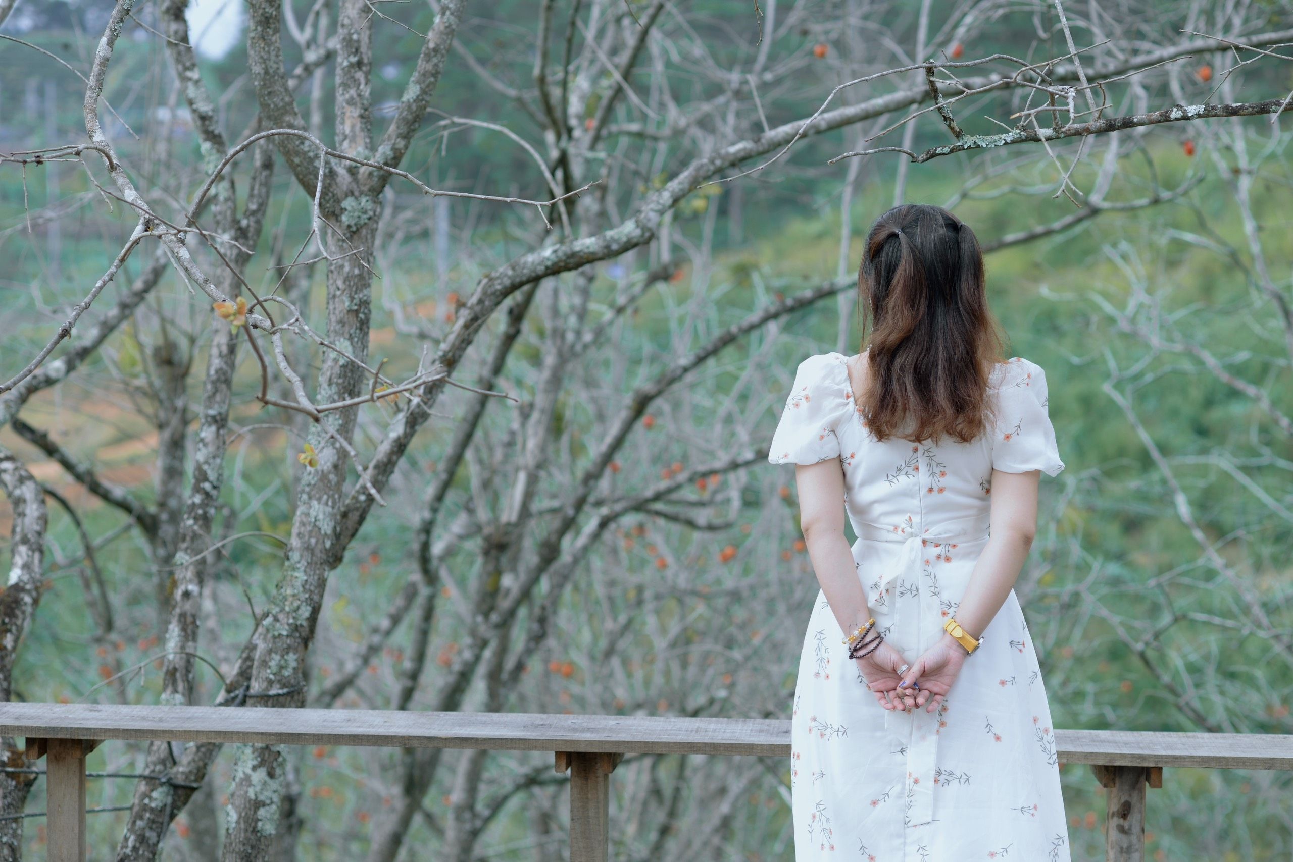 Back View of Woman Standing in Dress · Free Stock Photo
