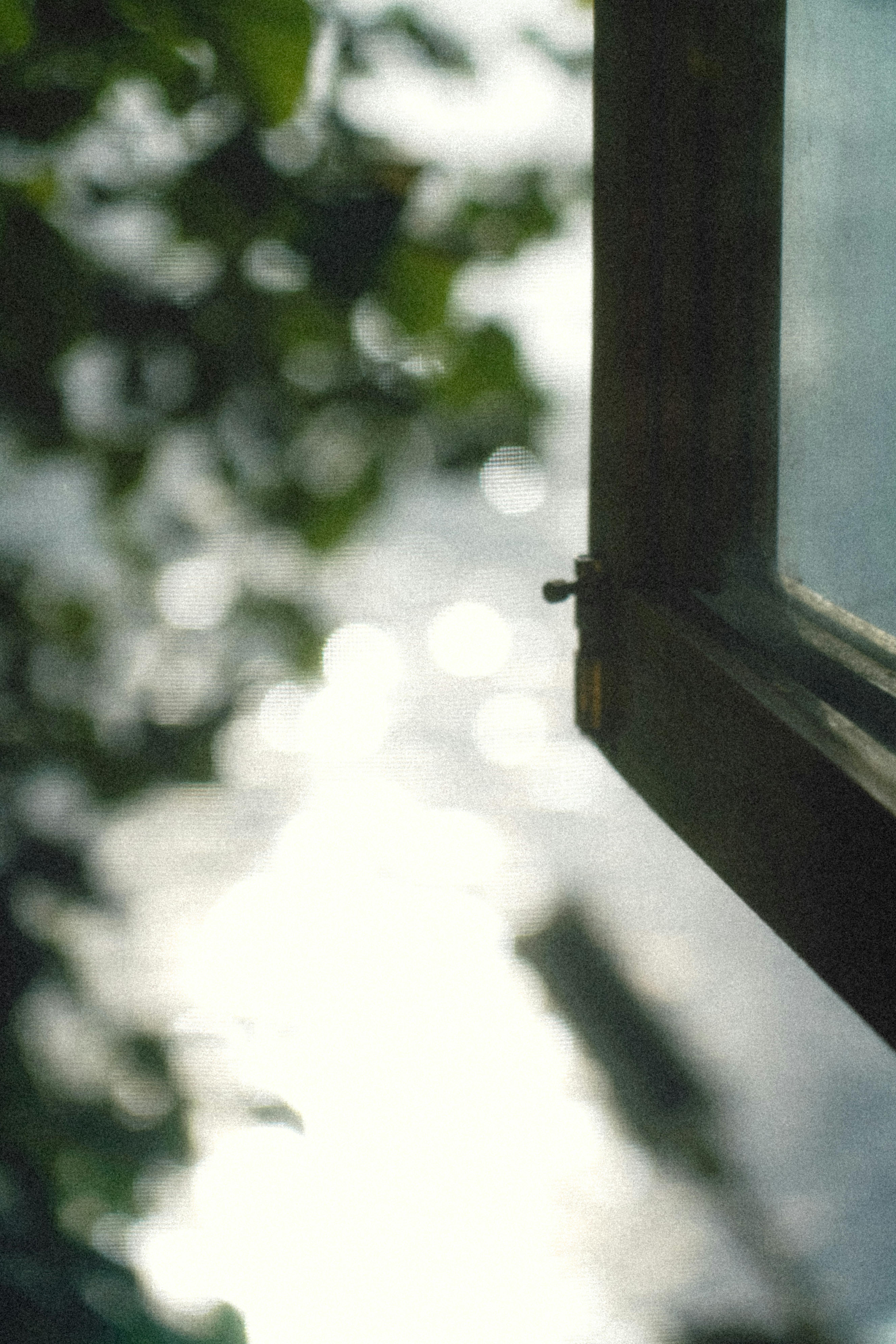 Blurred Open Window with Sunlit Foliage · Free Stock Photo