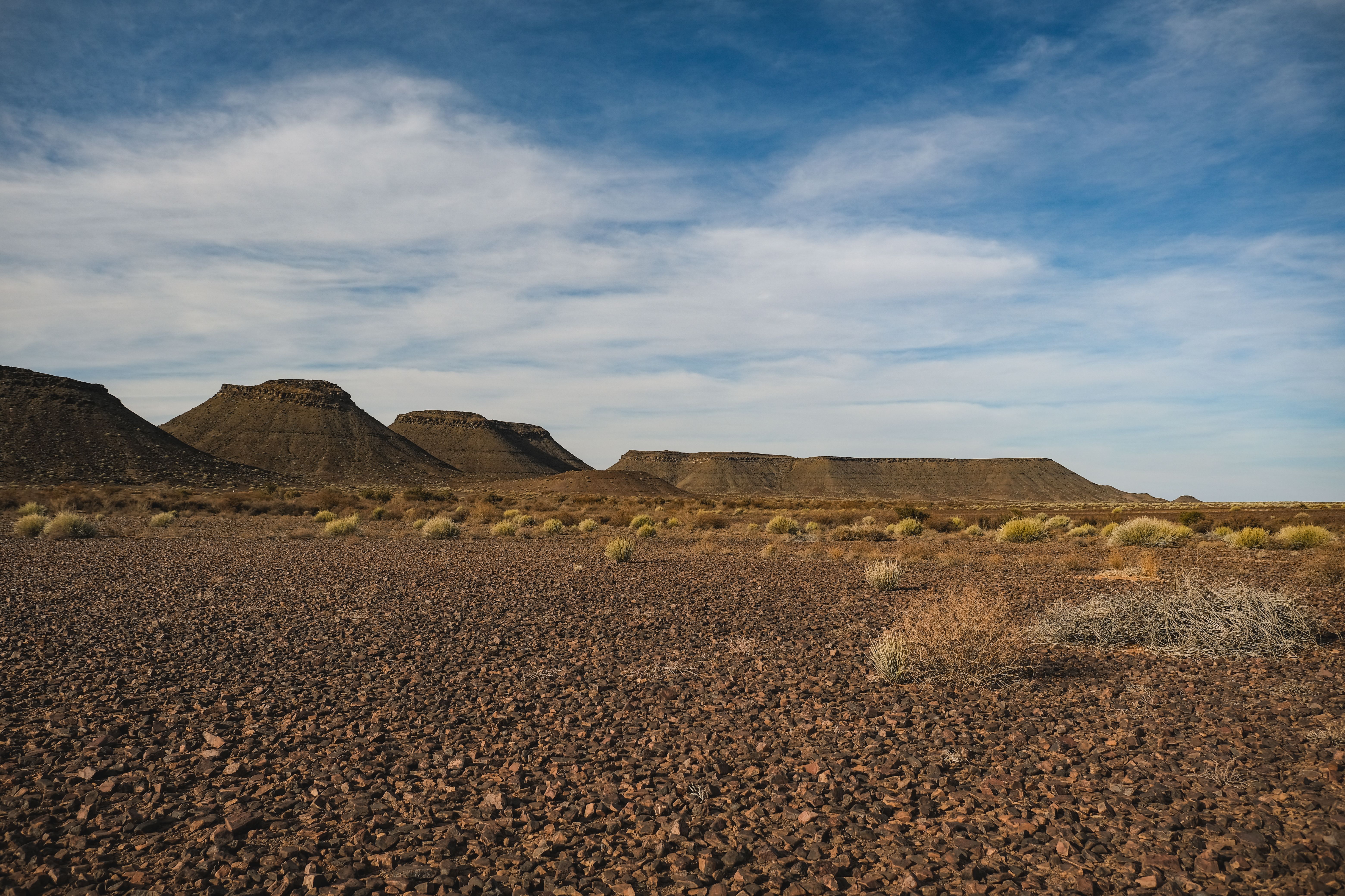 Weeds on Barren Wasteland · Free Stock Photo