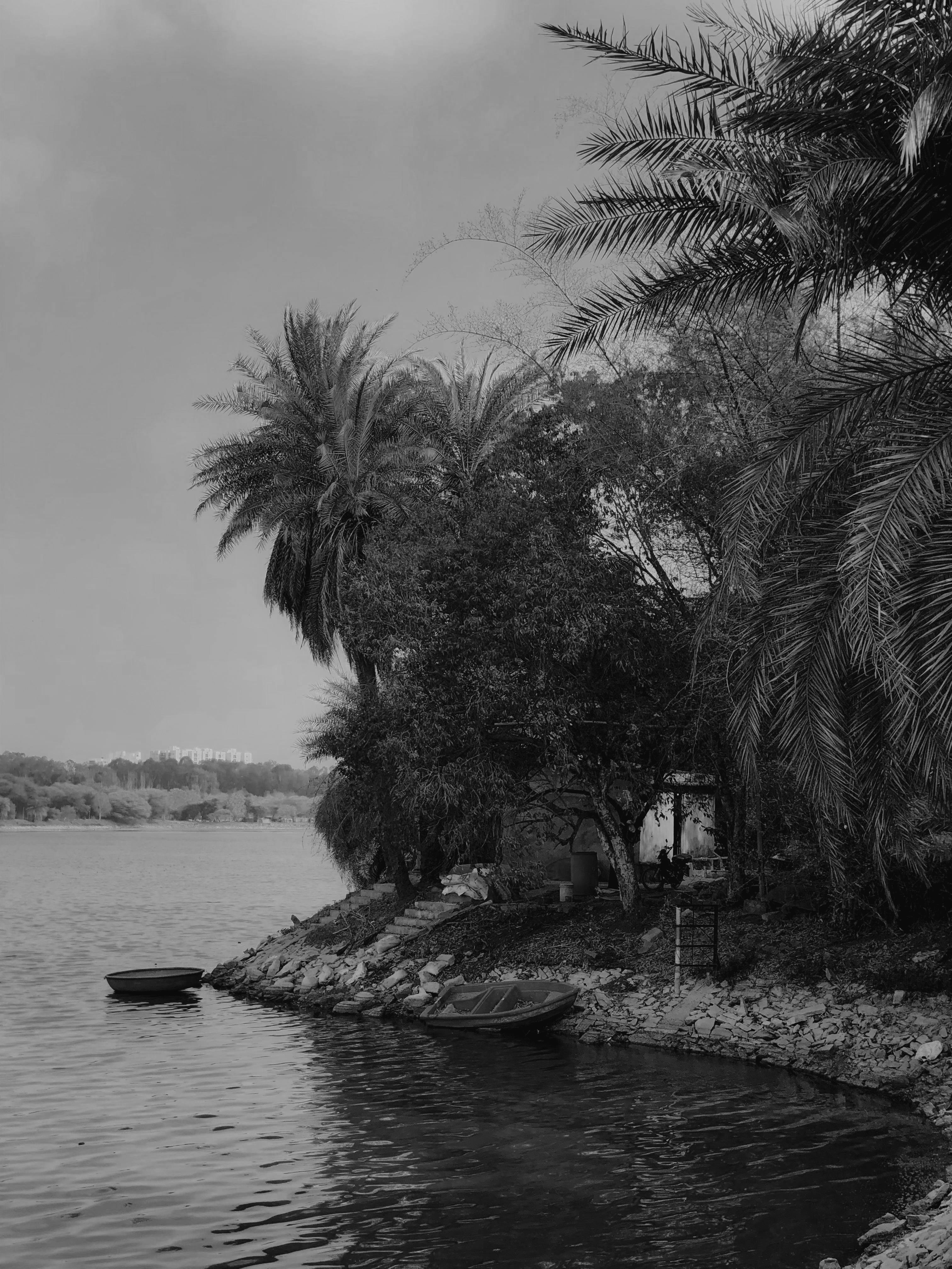 Sankey Photos, Download The BEST Free Sankey Stock Photos & HD Images