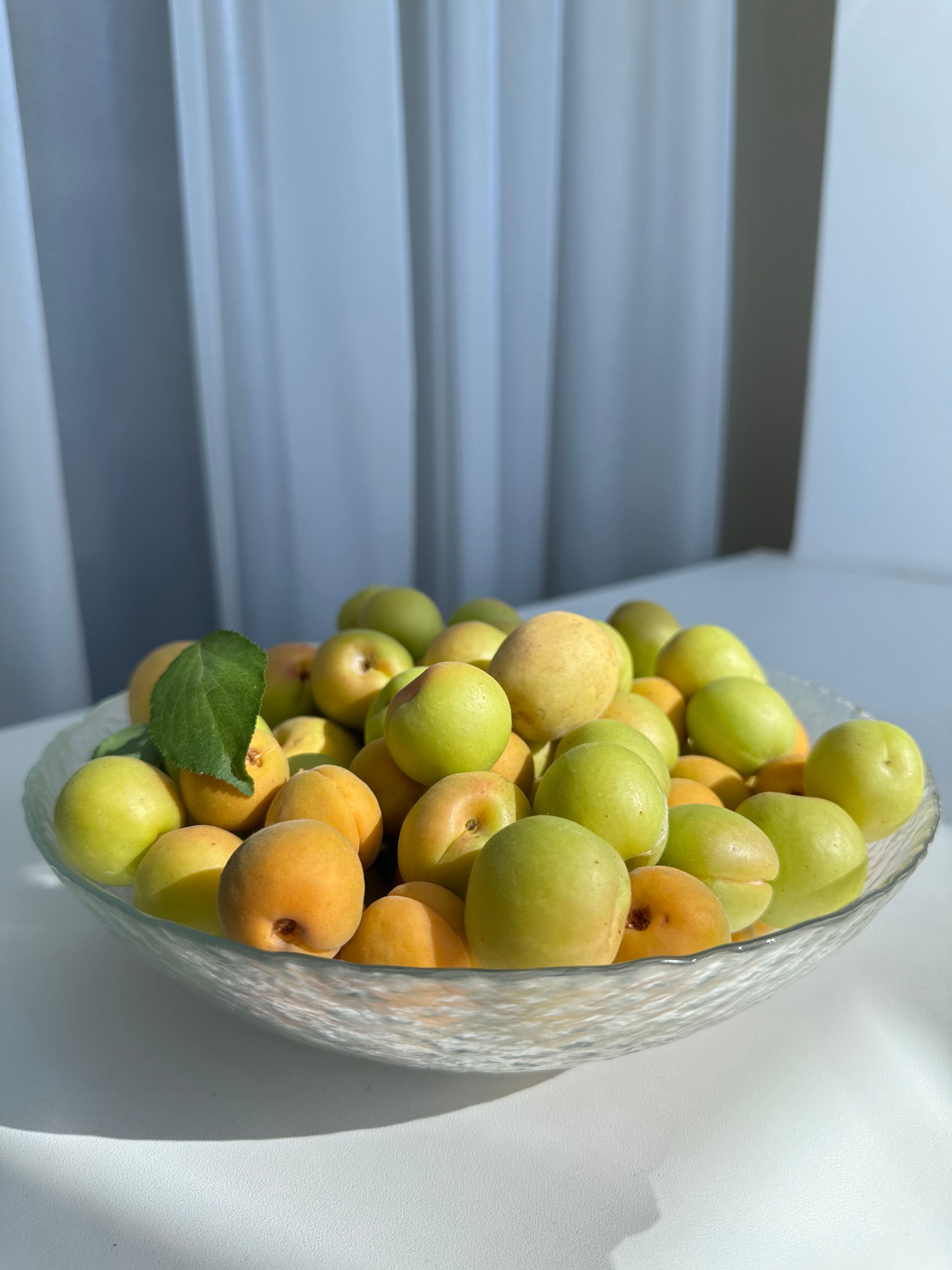 Apples and Apricots in Bowl · Free Stock Photo
