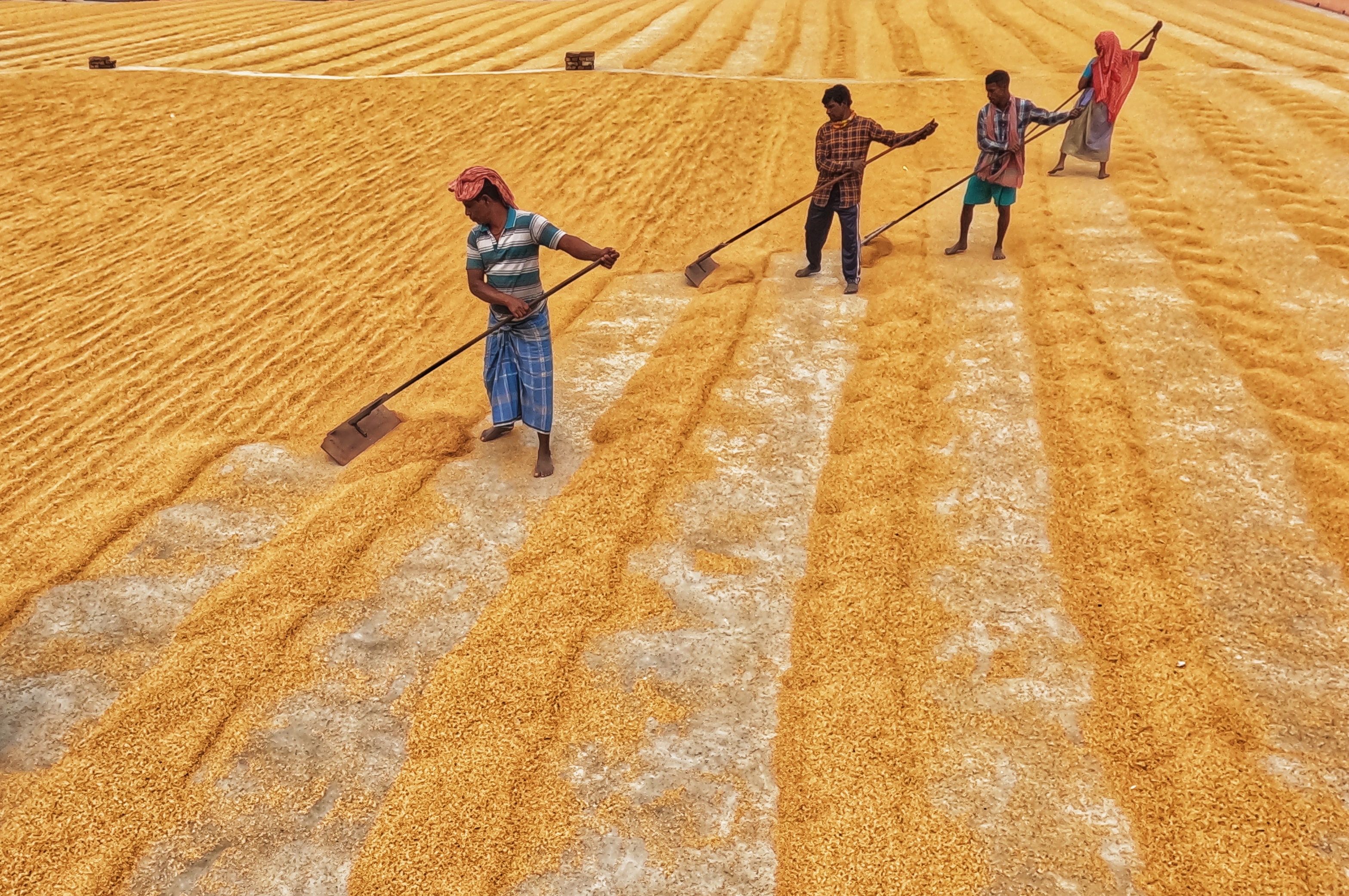 Farmers Working on Rural Field · Free Stock Photo