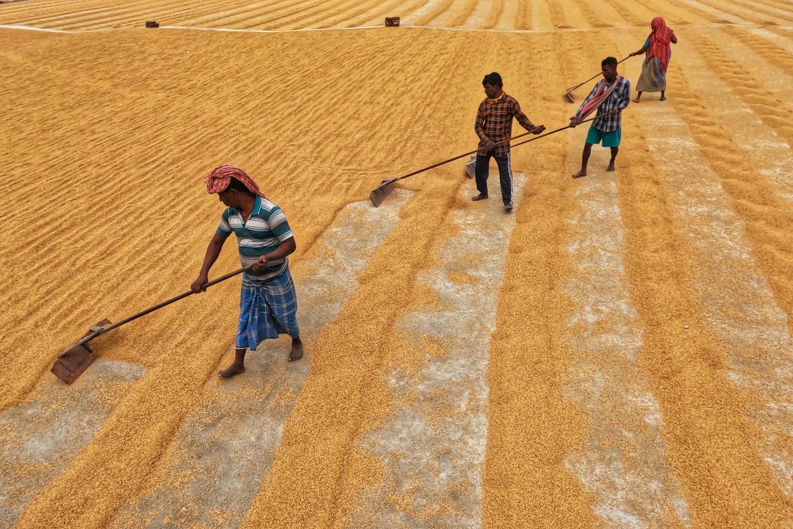 Working Man Photos, Download The BEST Free Working Man Stock Photos ...