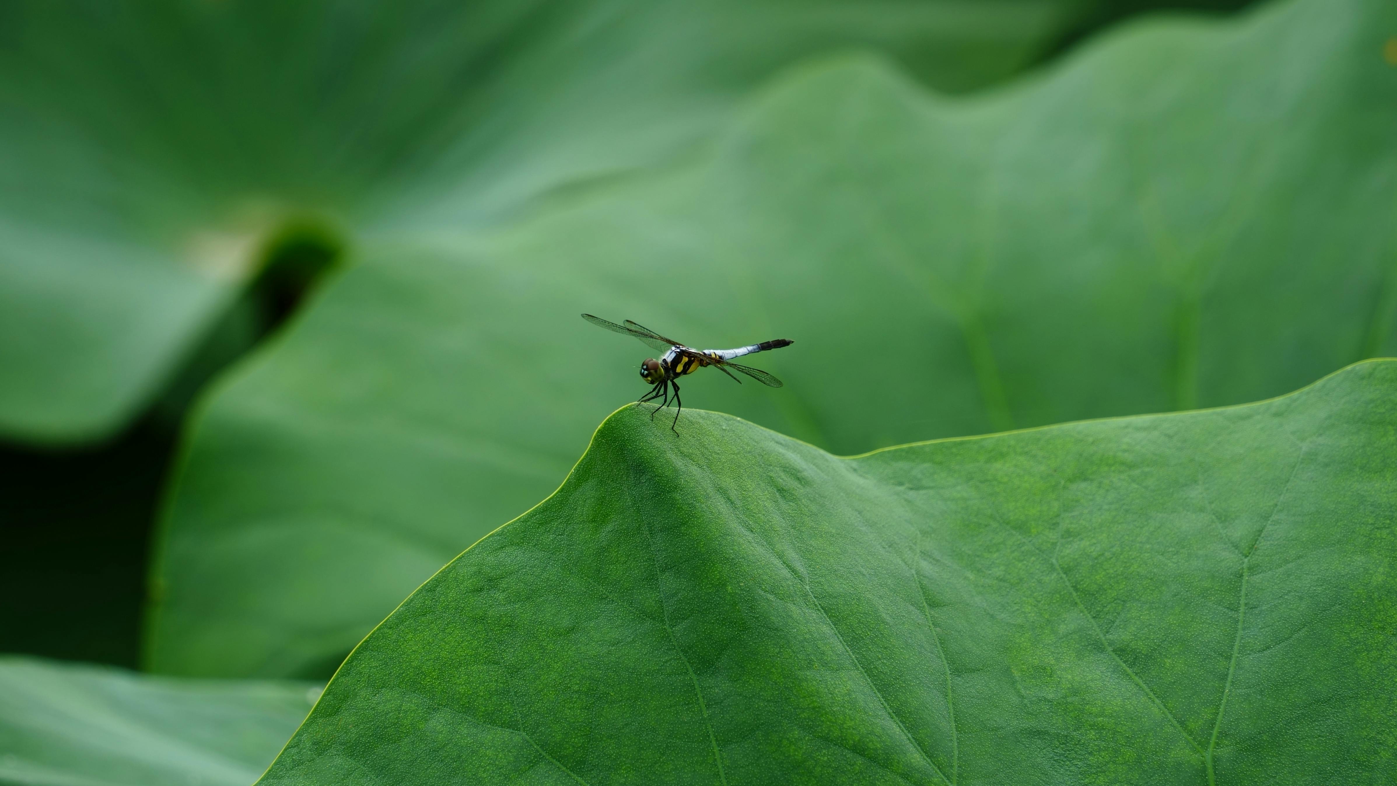 Details Photos, Download The BEST Free Details Stock Photos & HD Images