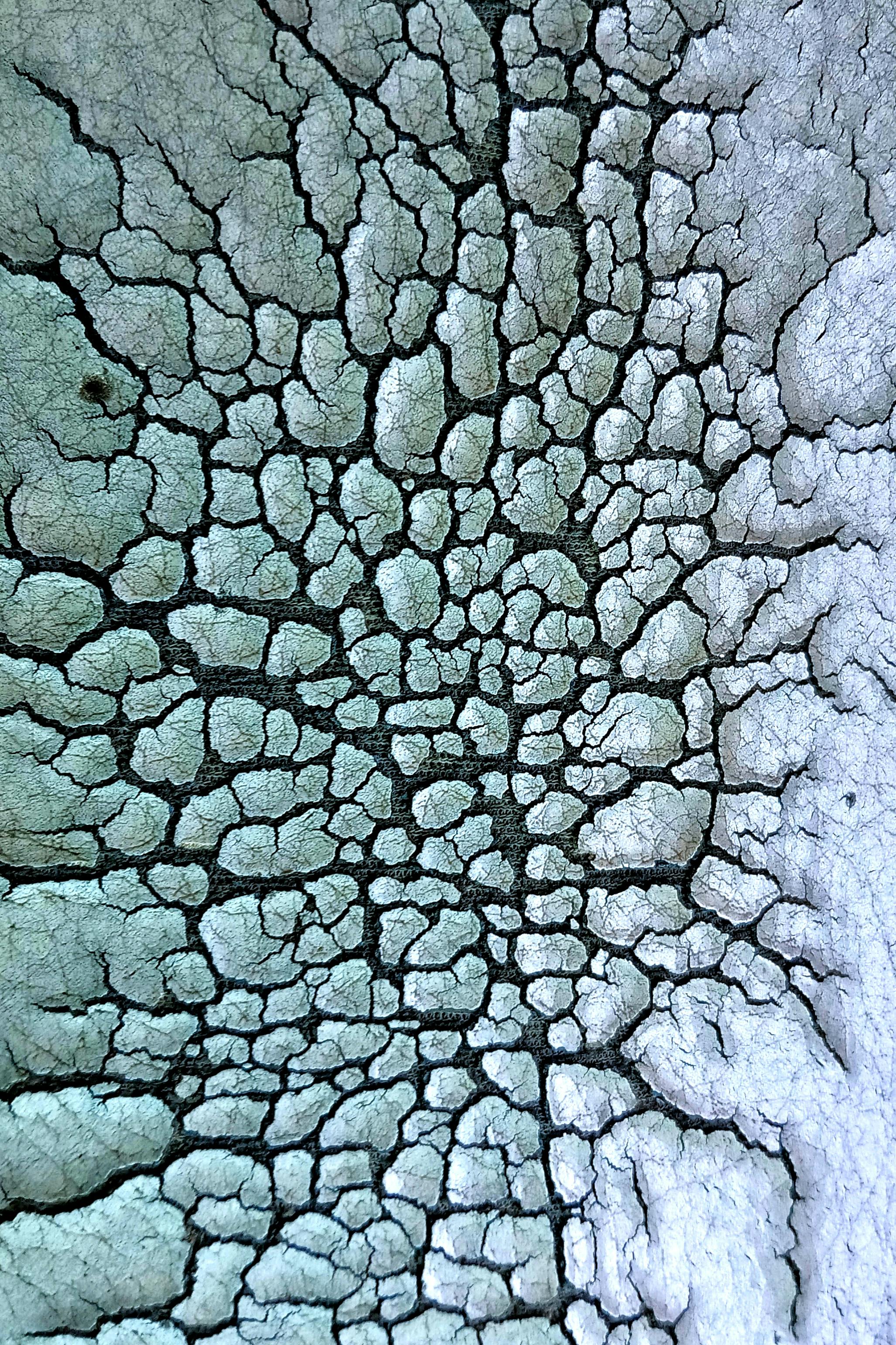 texture · Free Stock Photo