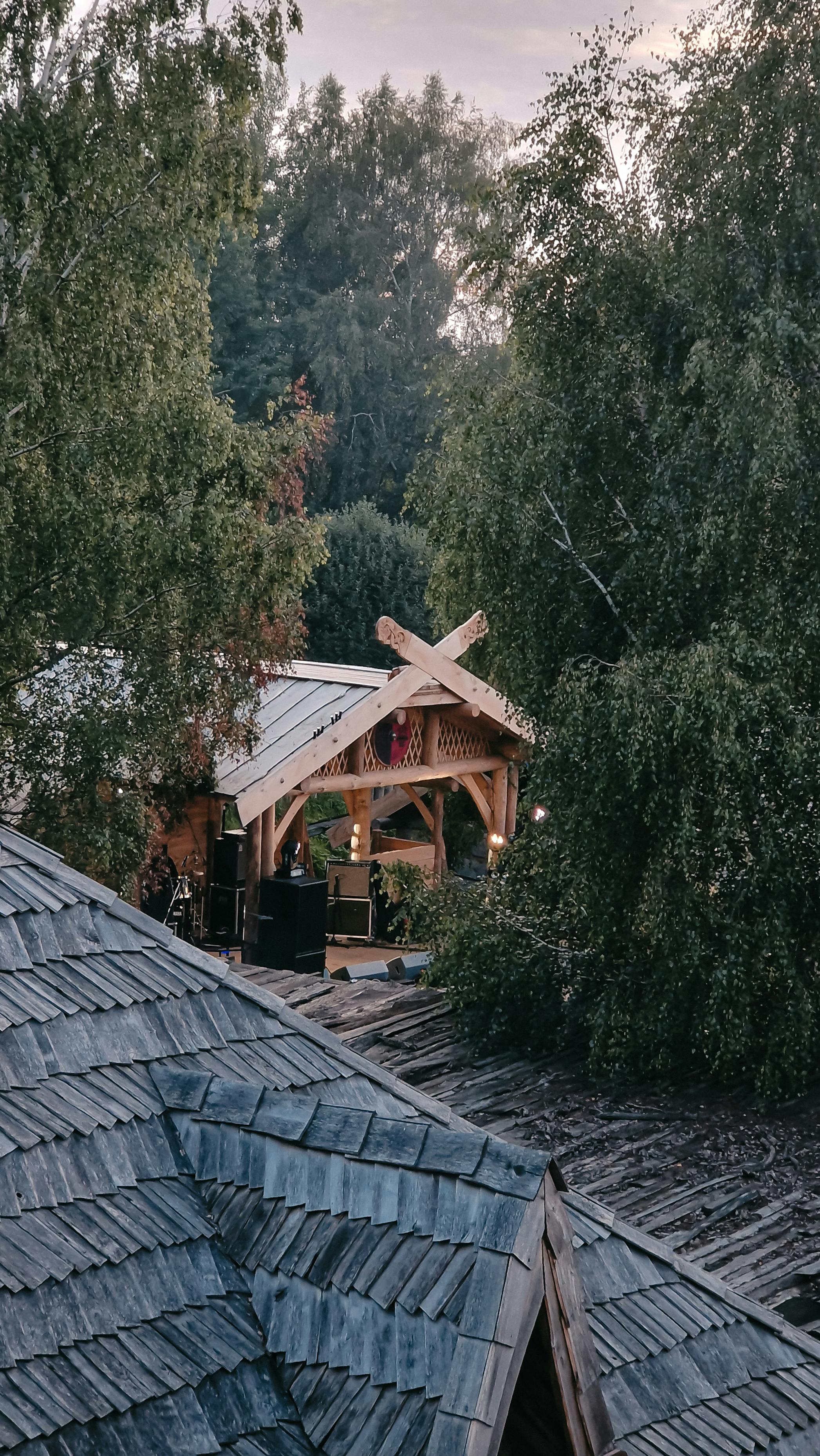 Wooden Buildings in Forest · Free Stock Photo