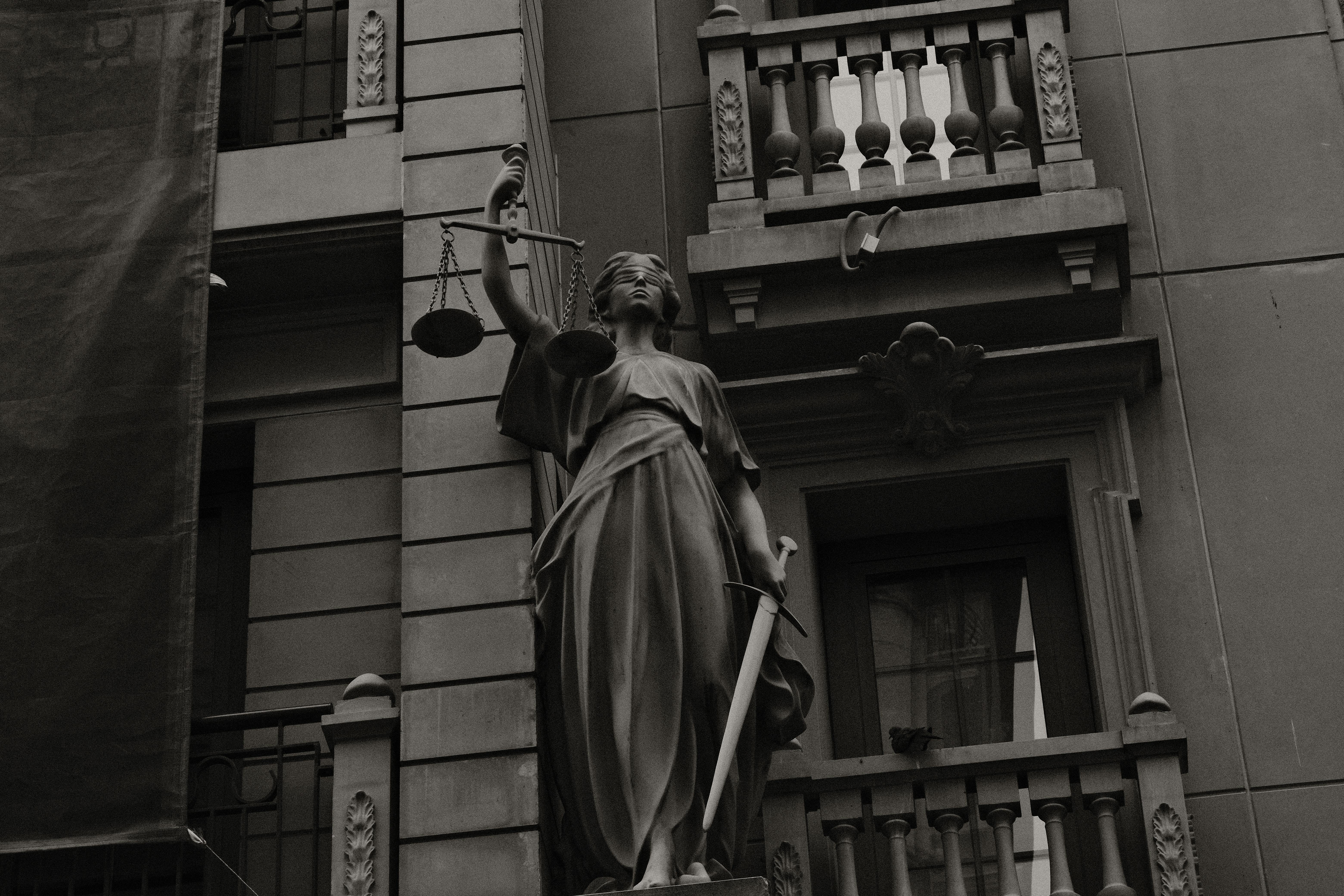 Discipline Equals Freedom Photos, Download The BEST Free Discipline ...