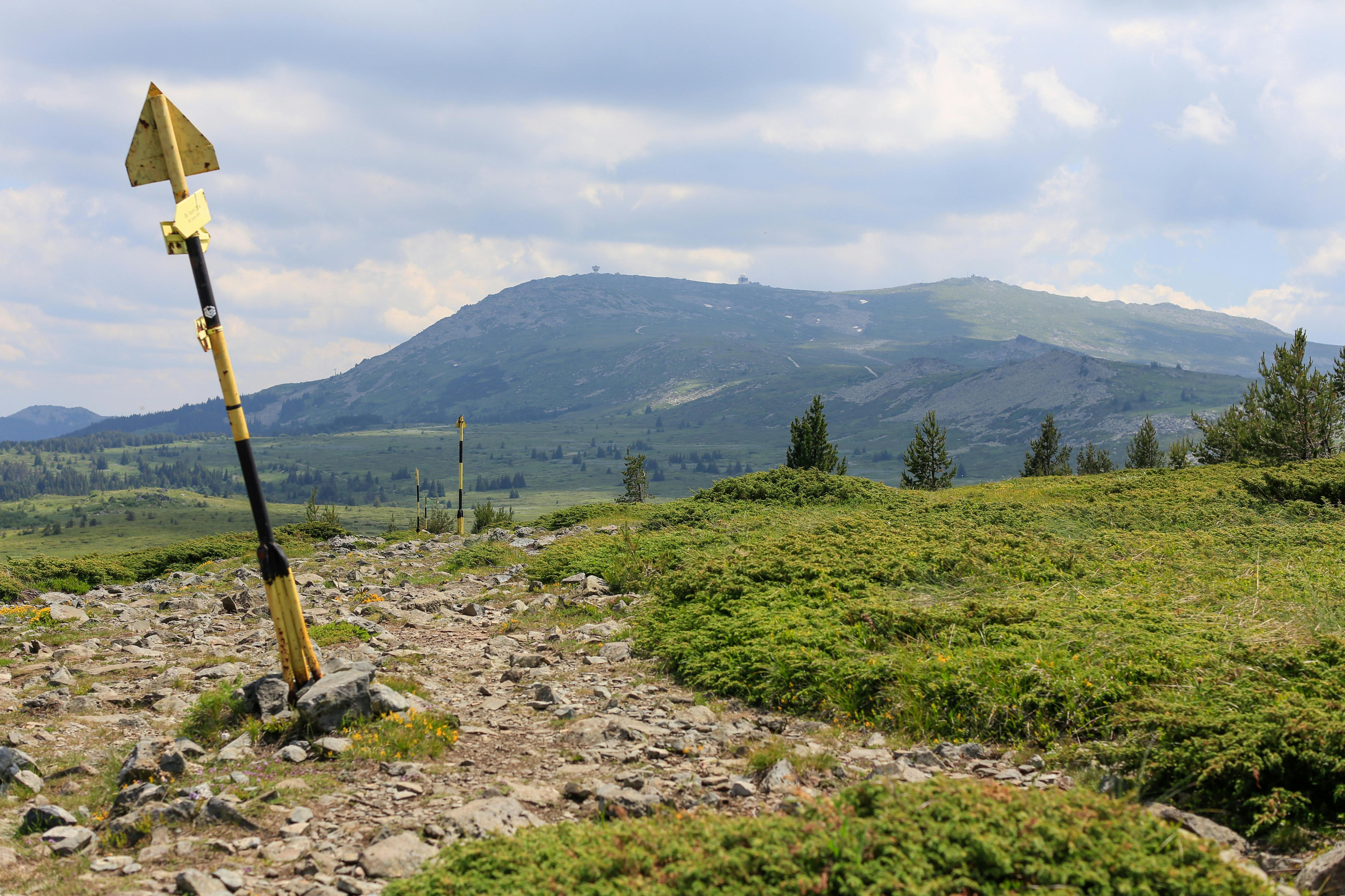 Rape Posts Photos, Download The BEST Free Rape Posts Stock Photos & HD ...