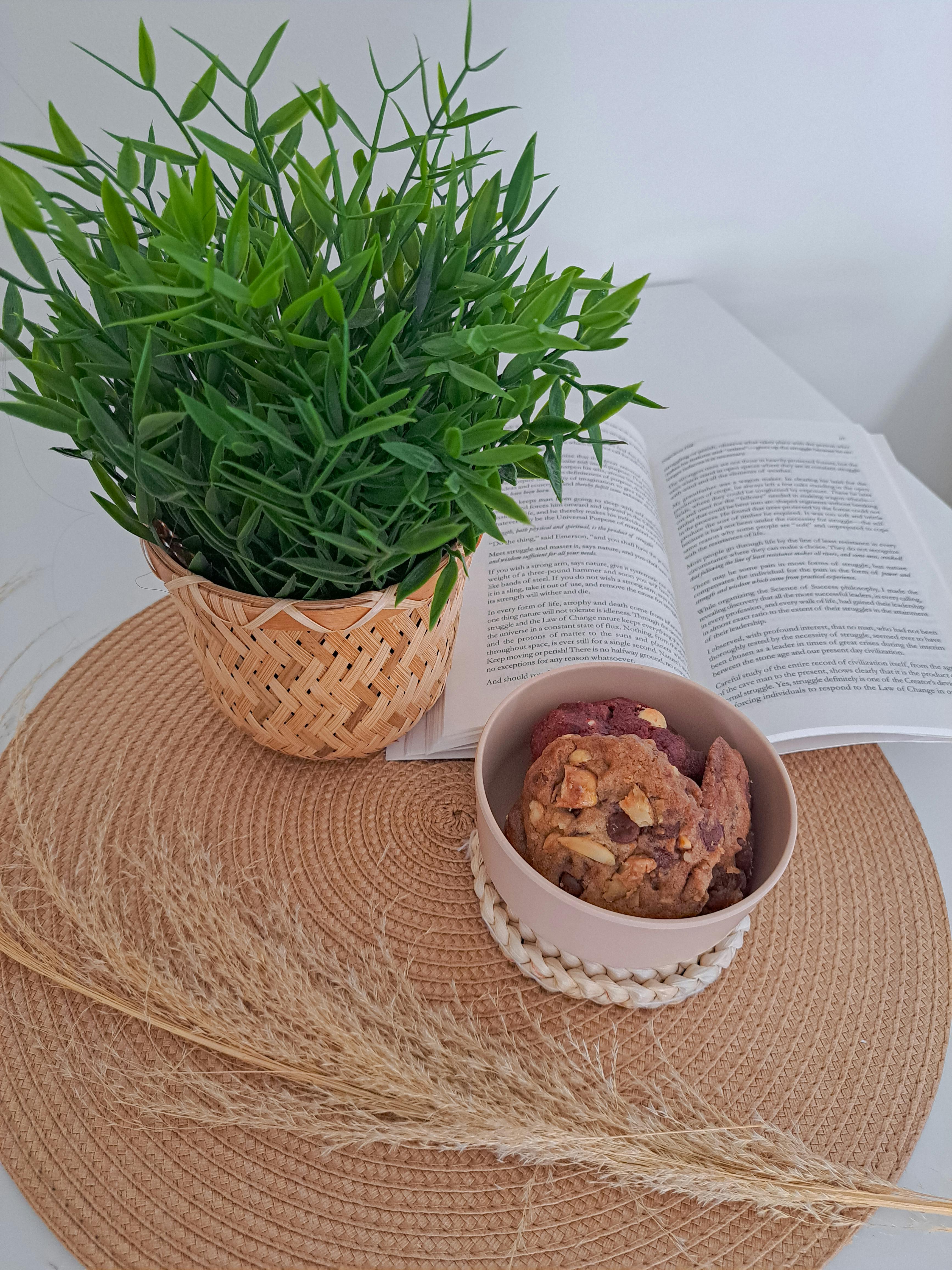 Aesthetic Photo of Cookies · Free Stock Photo