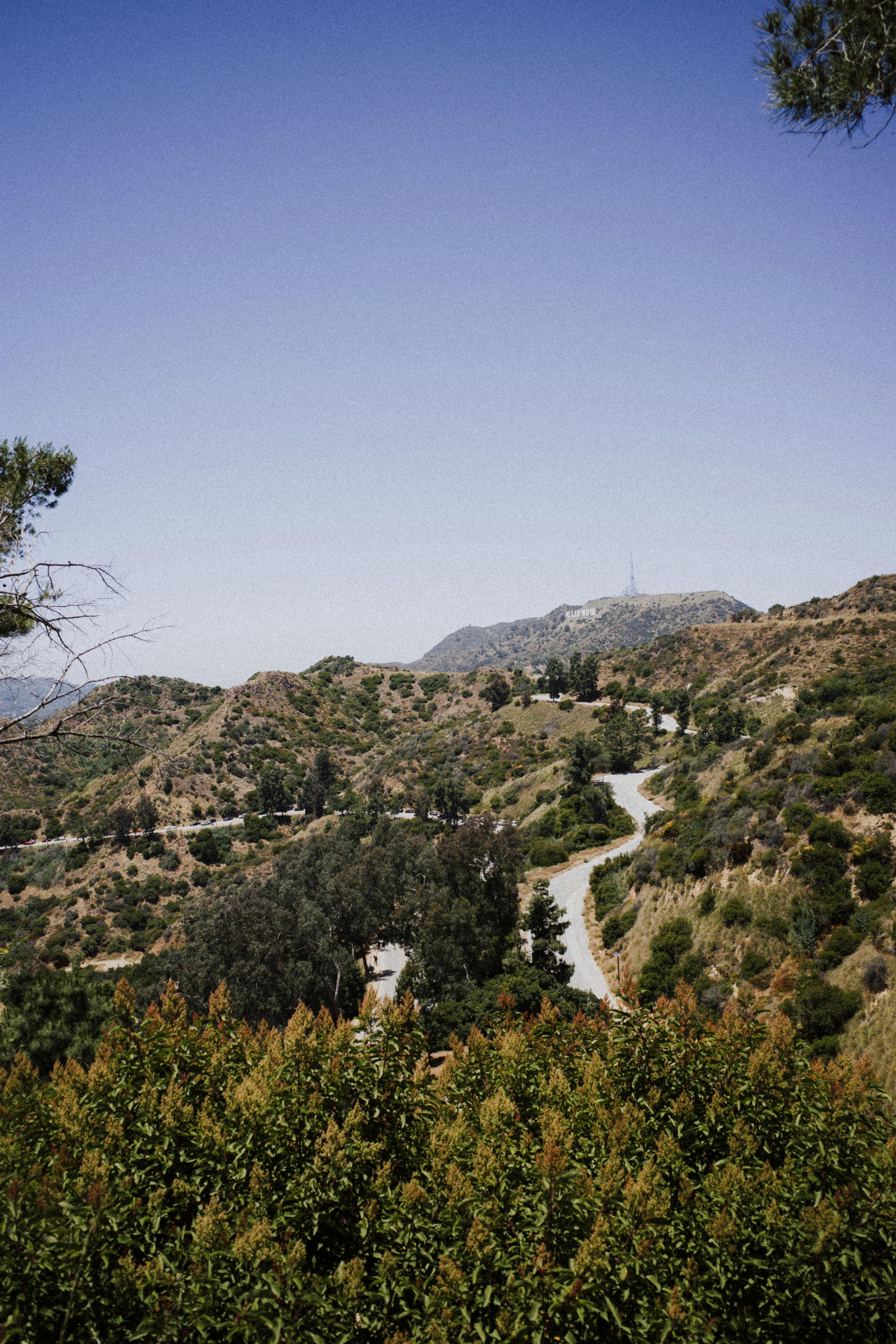 Road Running through a Rural Landscape · Free Stock Photo