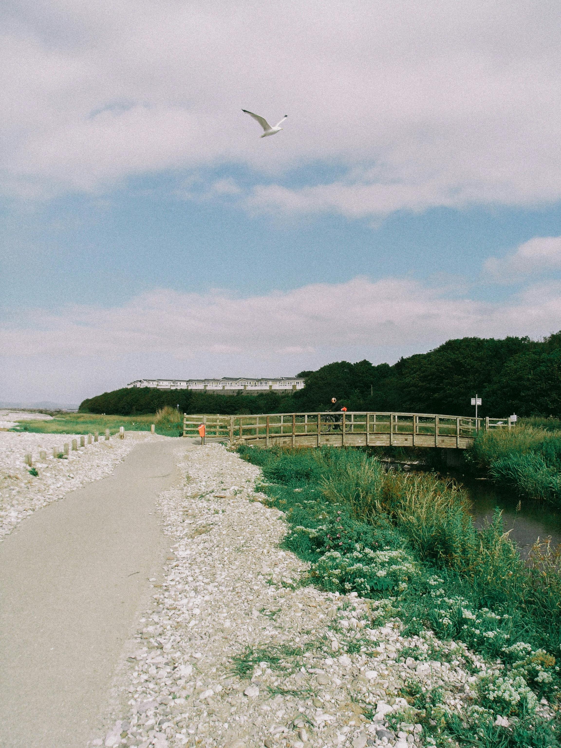 Bridge Over Ravin Photos, Download The BEST Free Bridge Over Ravin ...