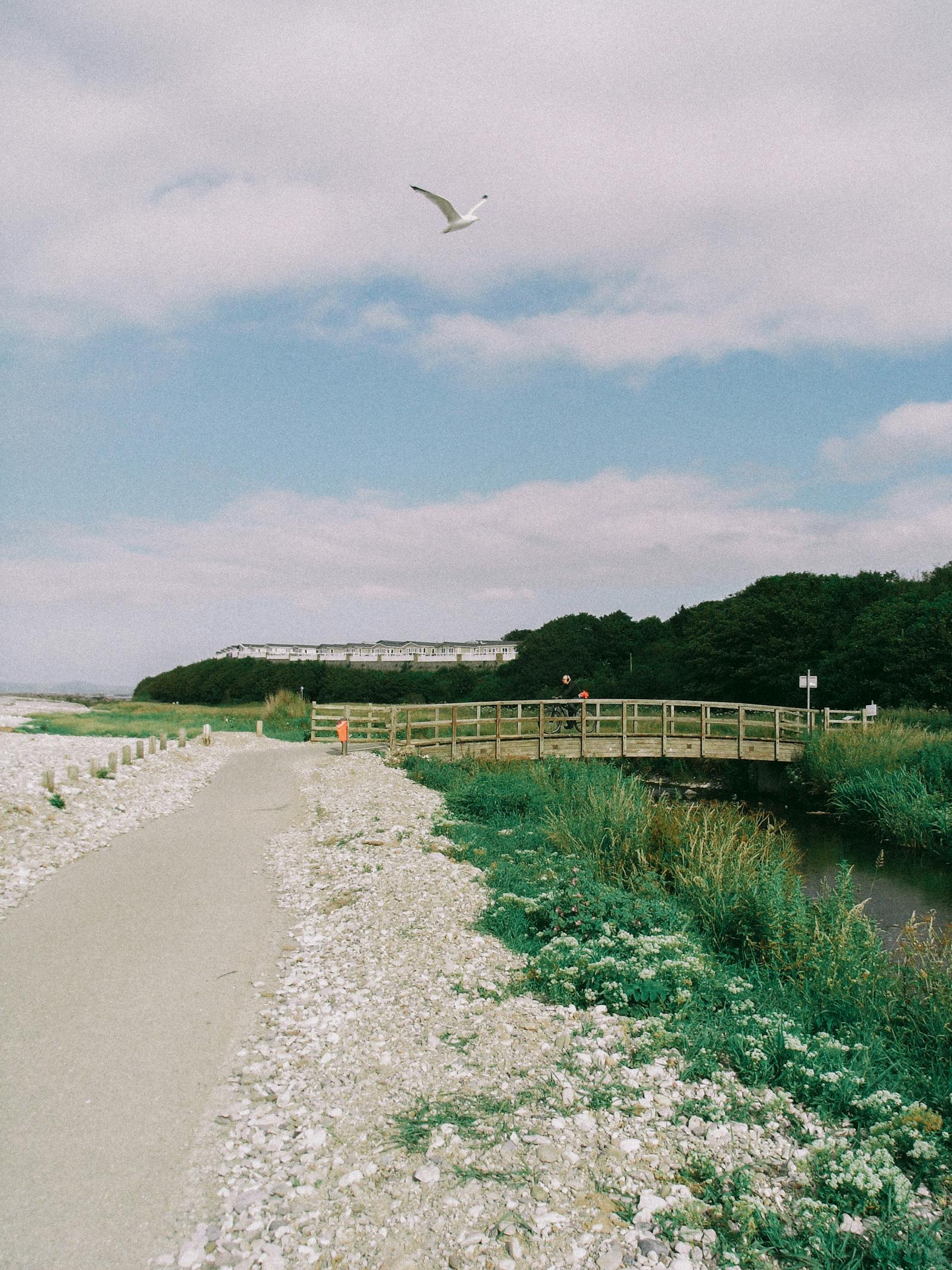 Bridge Over Ravin Photos, Download The BEST Free Bridge Over Ravin ...