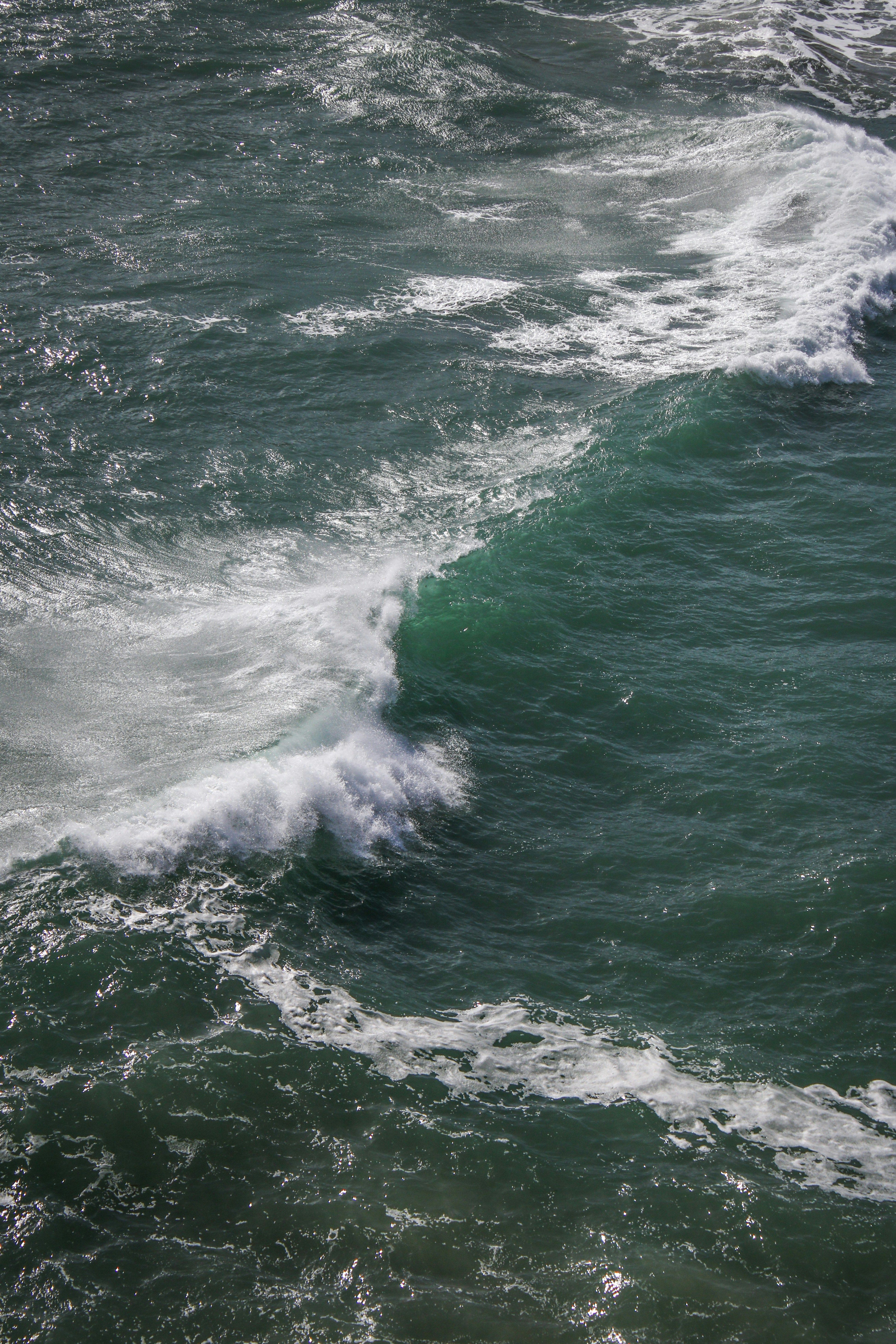 Violent Sea Waves of the Ocean · Free Stock Photo