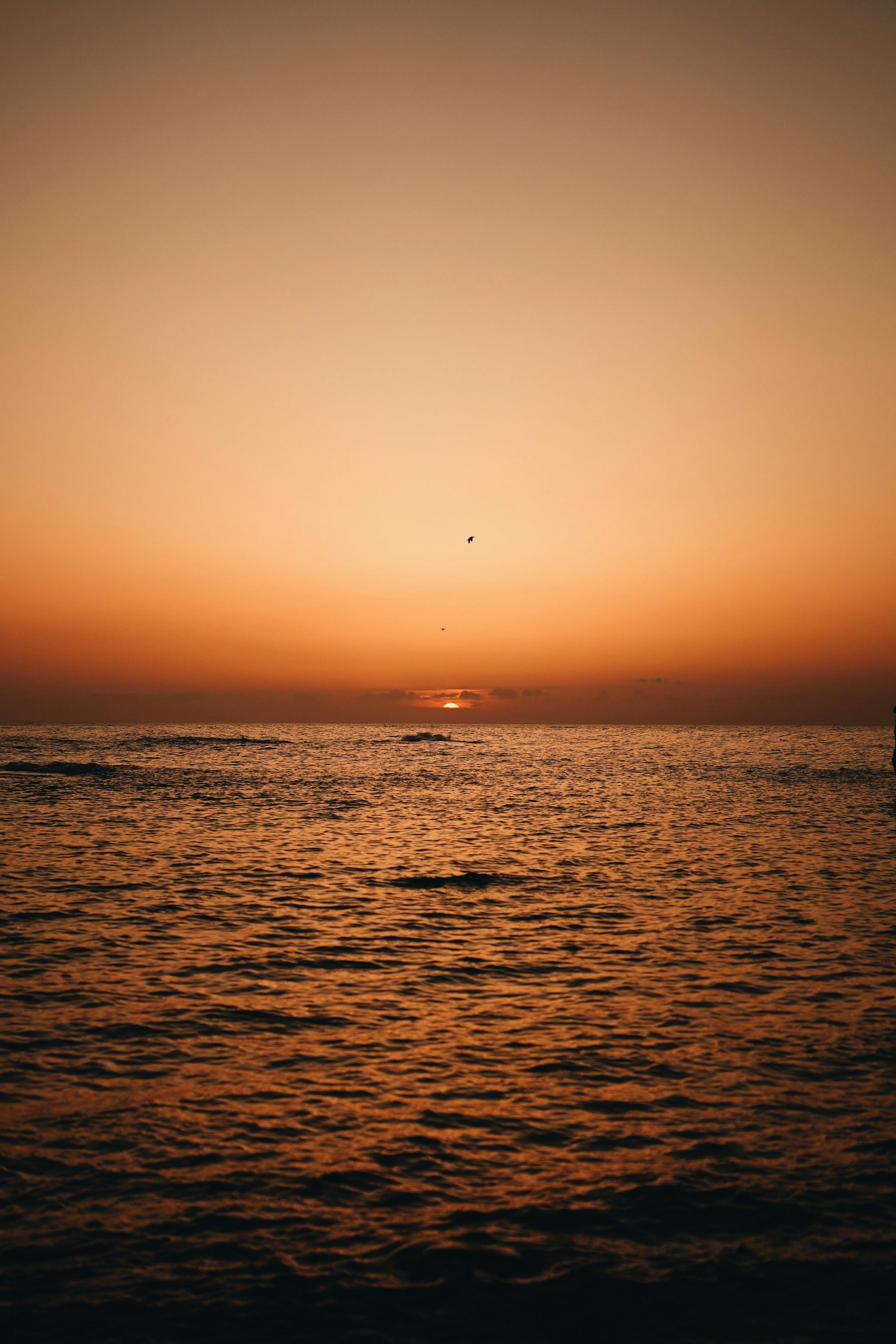 Sea at Golden Hour · Free Stock Photo