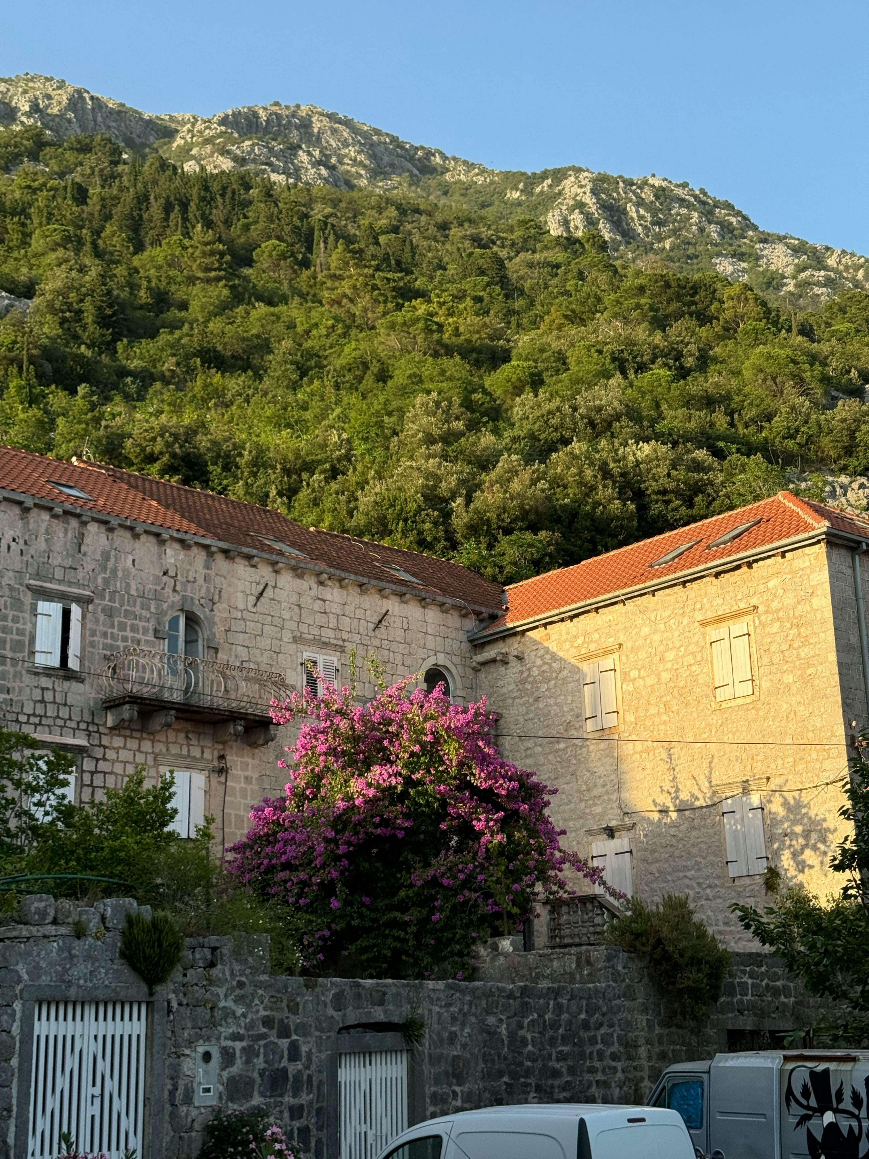 Neighboring Houses Photos, Download The BEST Free Neighboring Houses ...