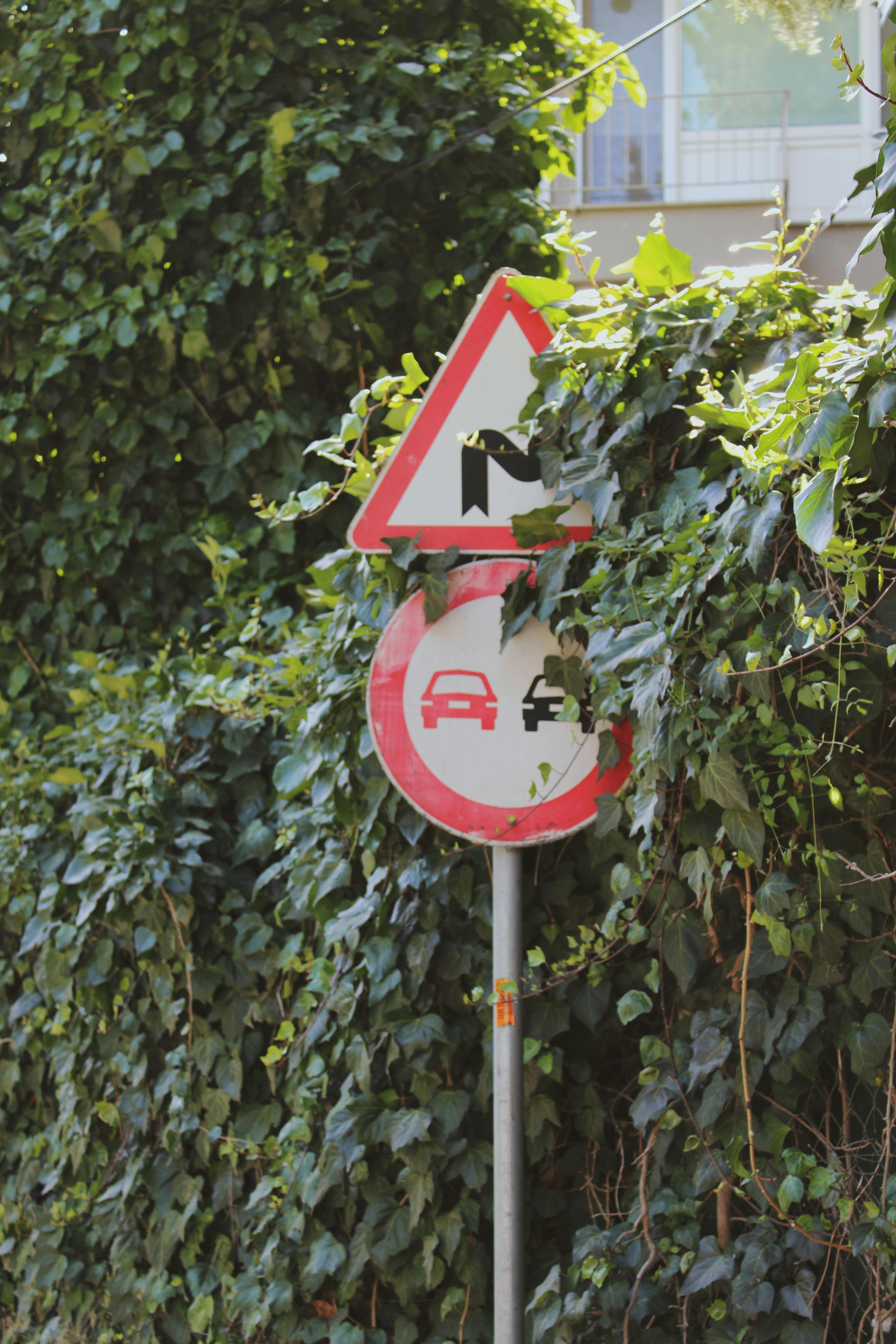 Obscured Sign Photos, Download The BEST Free Obscured Sign Stock Photos ...