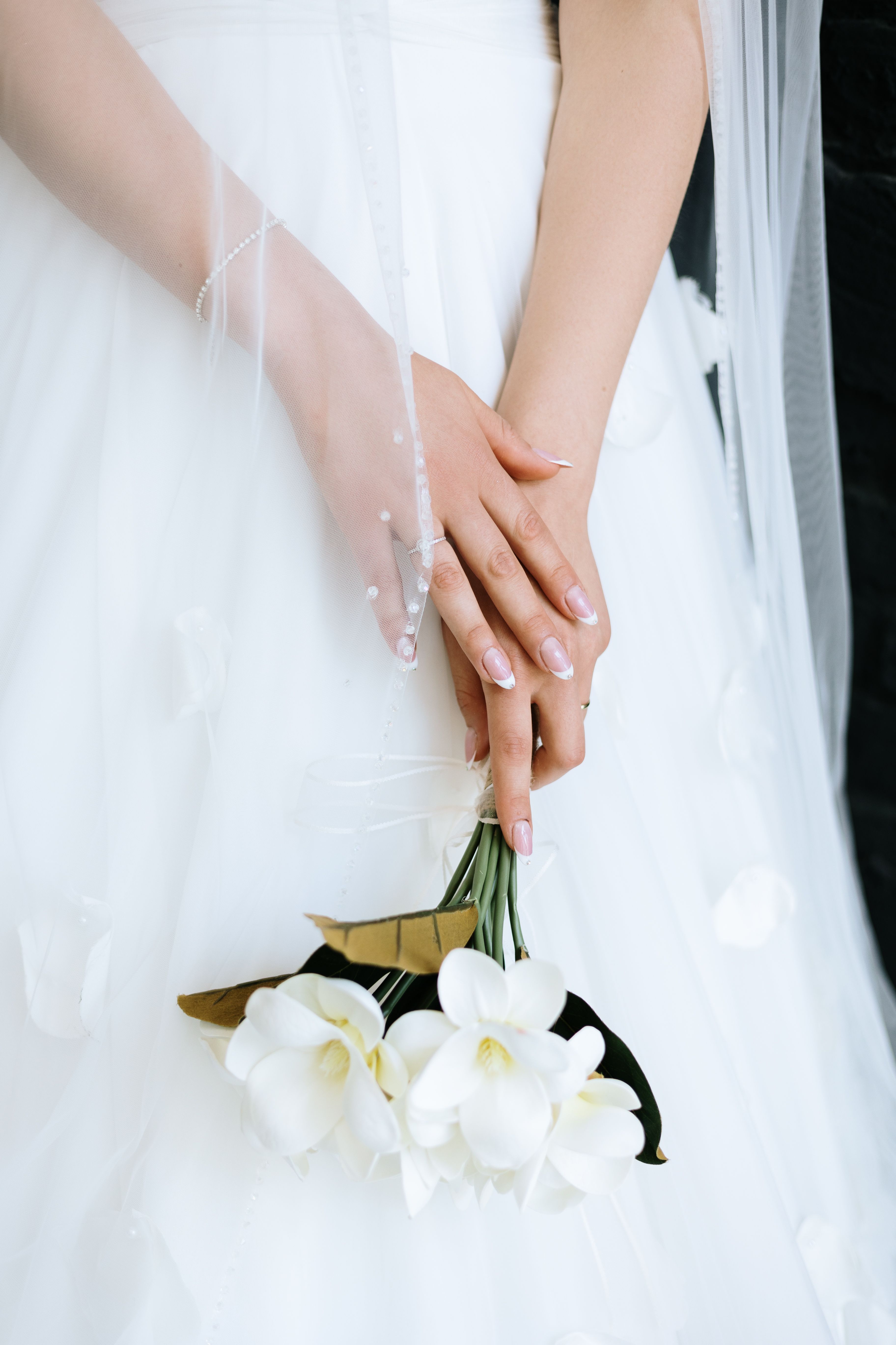 Hands of Bride · Free Stock Photo