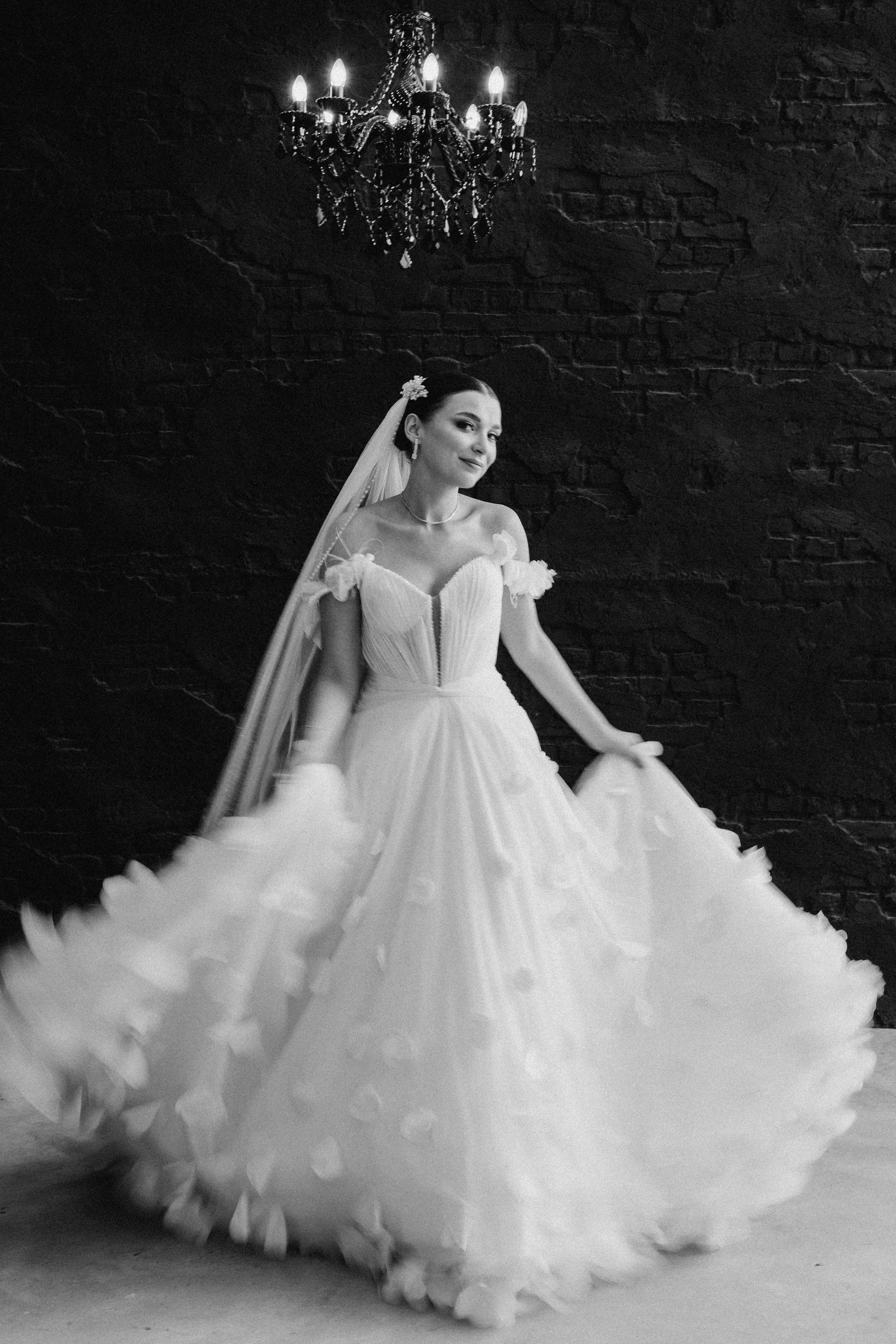 Bride in Black and White · Free Stock Photo