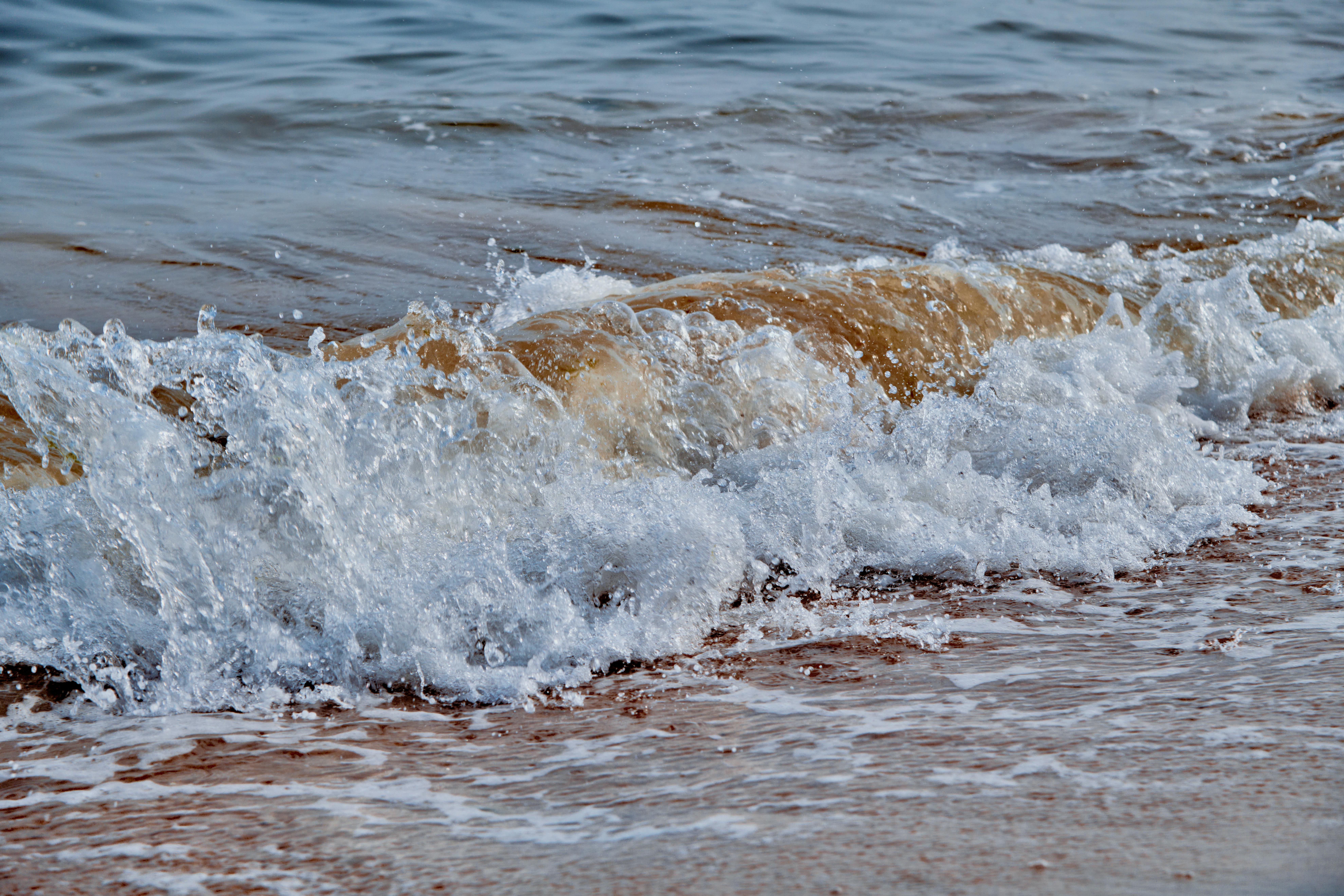 Brown Sea Wave on the Beach · Free Stock Photo