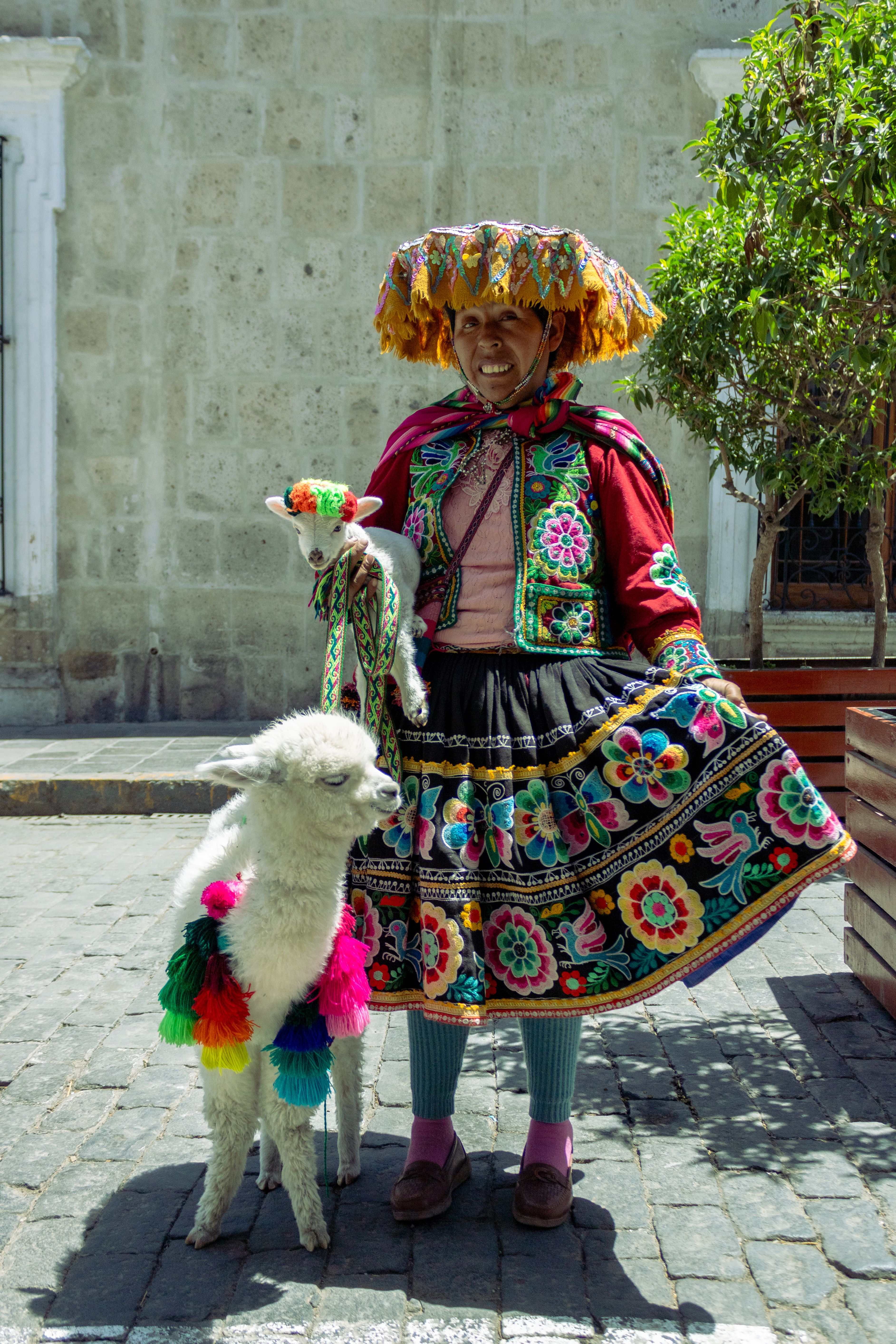 Woman in Traditional Dress with Alpacas · Free Stock Photo