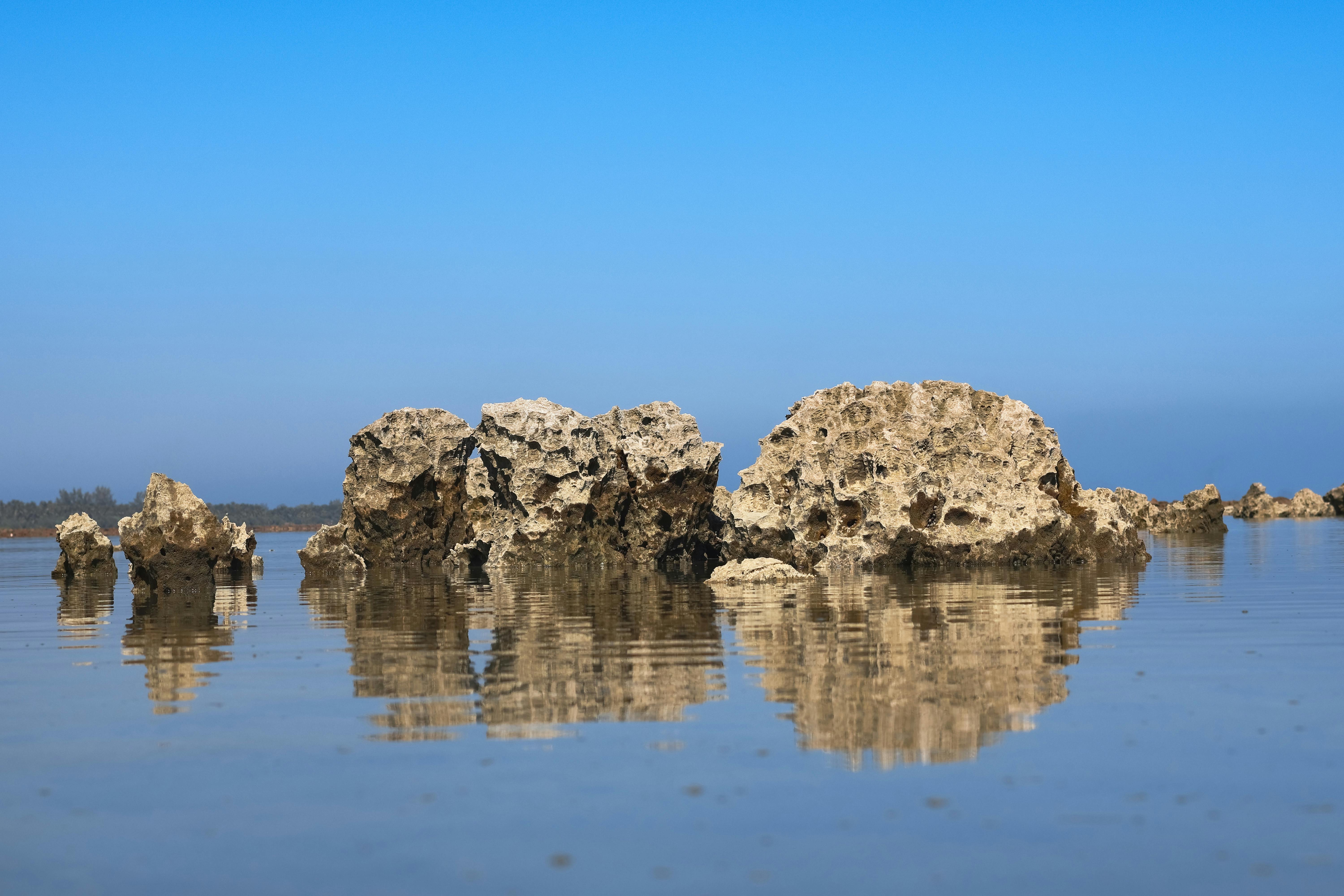 Ferdous Hasan - 사진