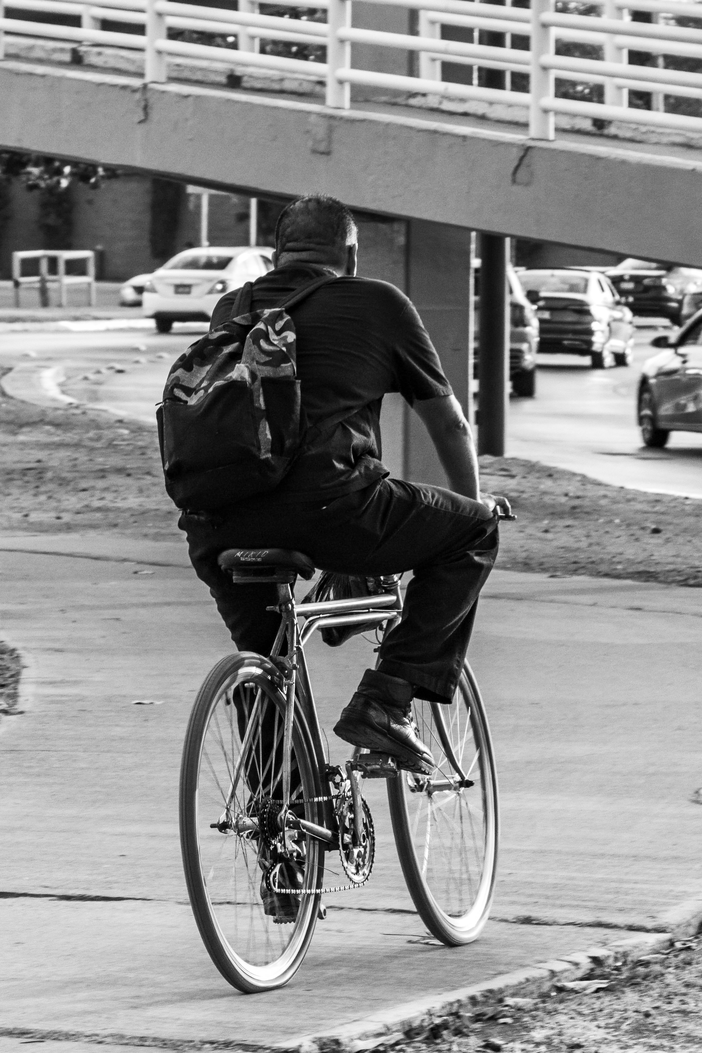Back View of Man Riding Bicycle · Free Stock Photo
