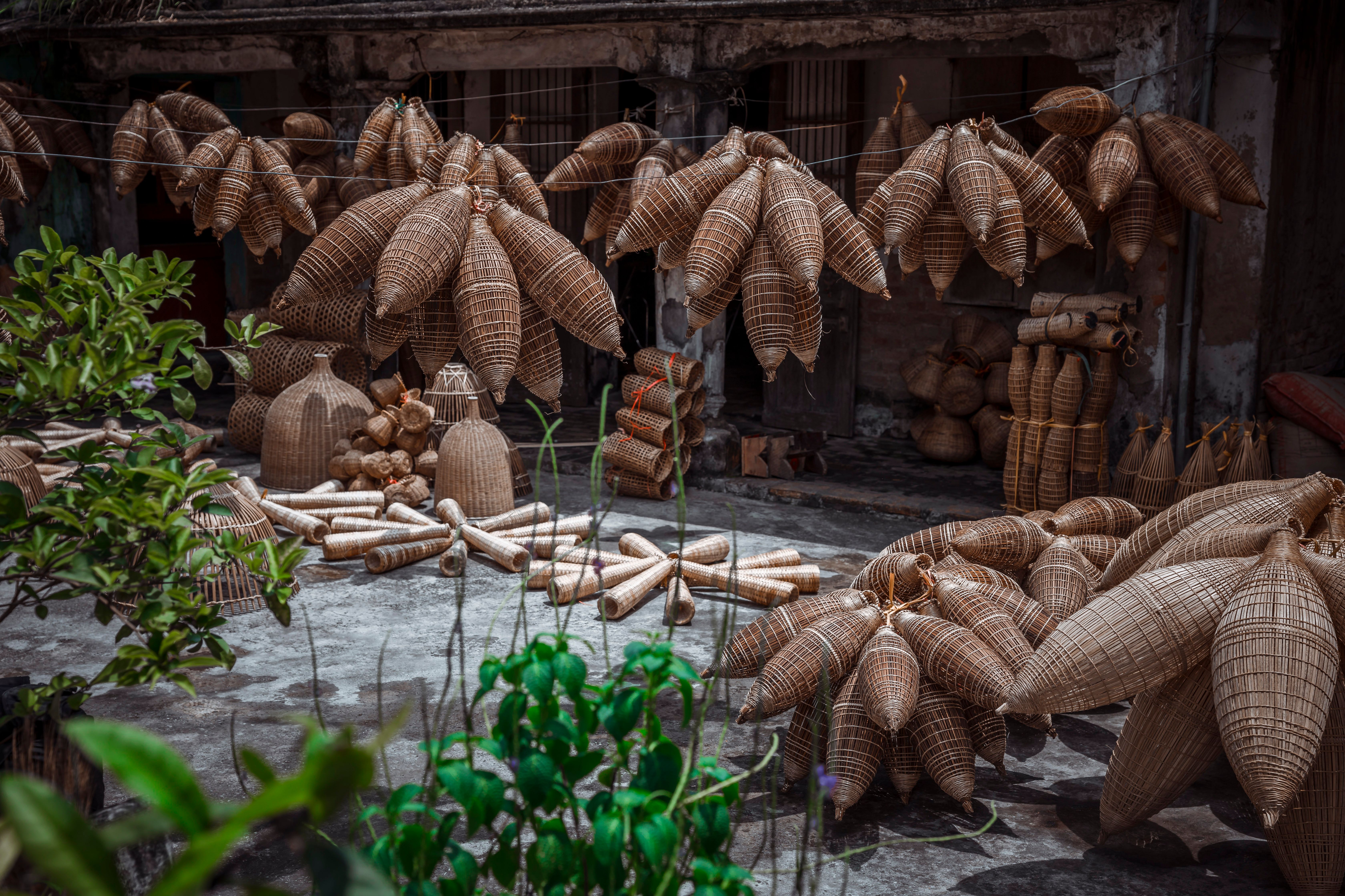 Root Shell Photos, Download The BEST Free Root Shell Stock Photos & HD ...