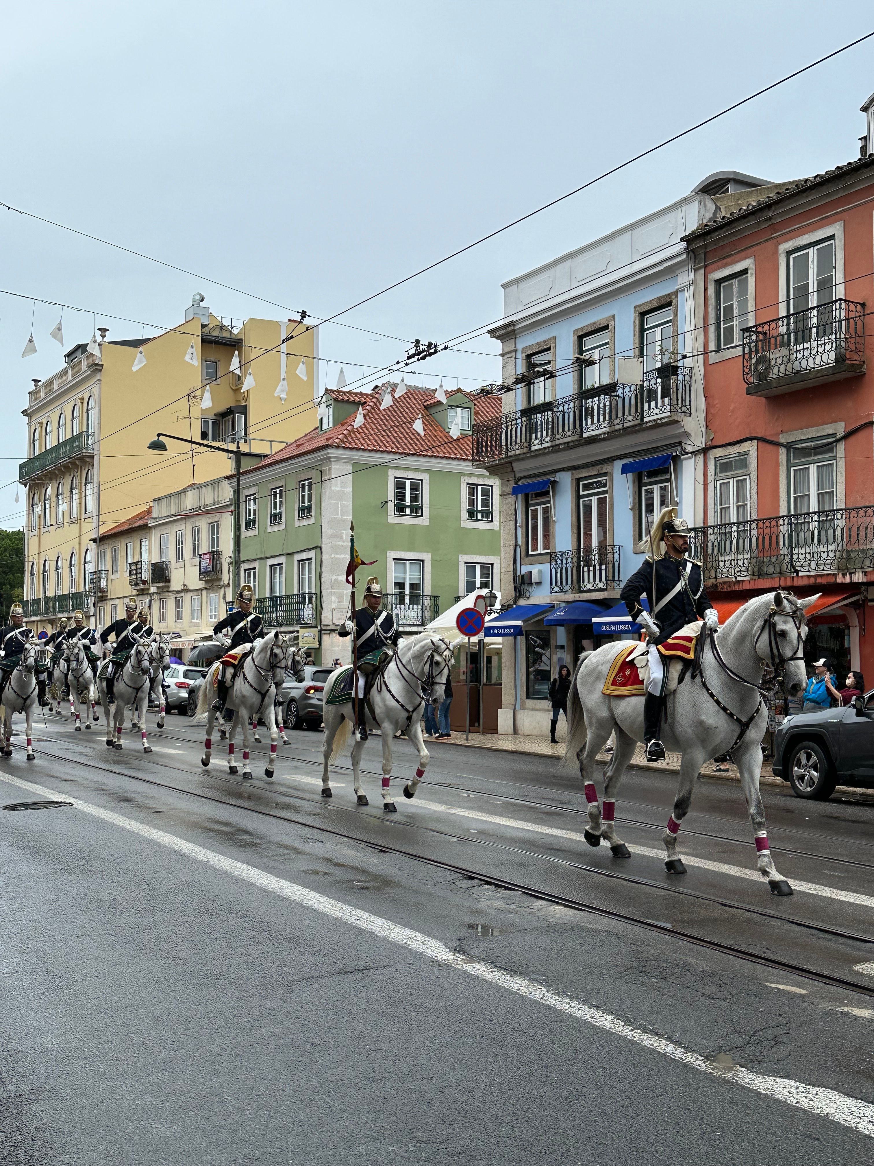 Cavalry on Horseback during a Parade · Free Stock Photo