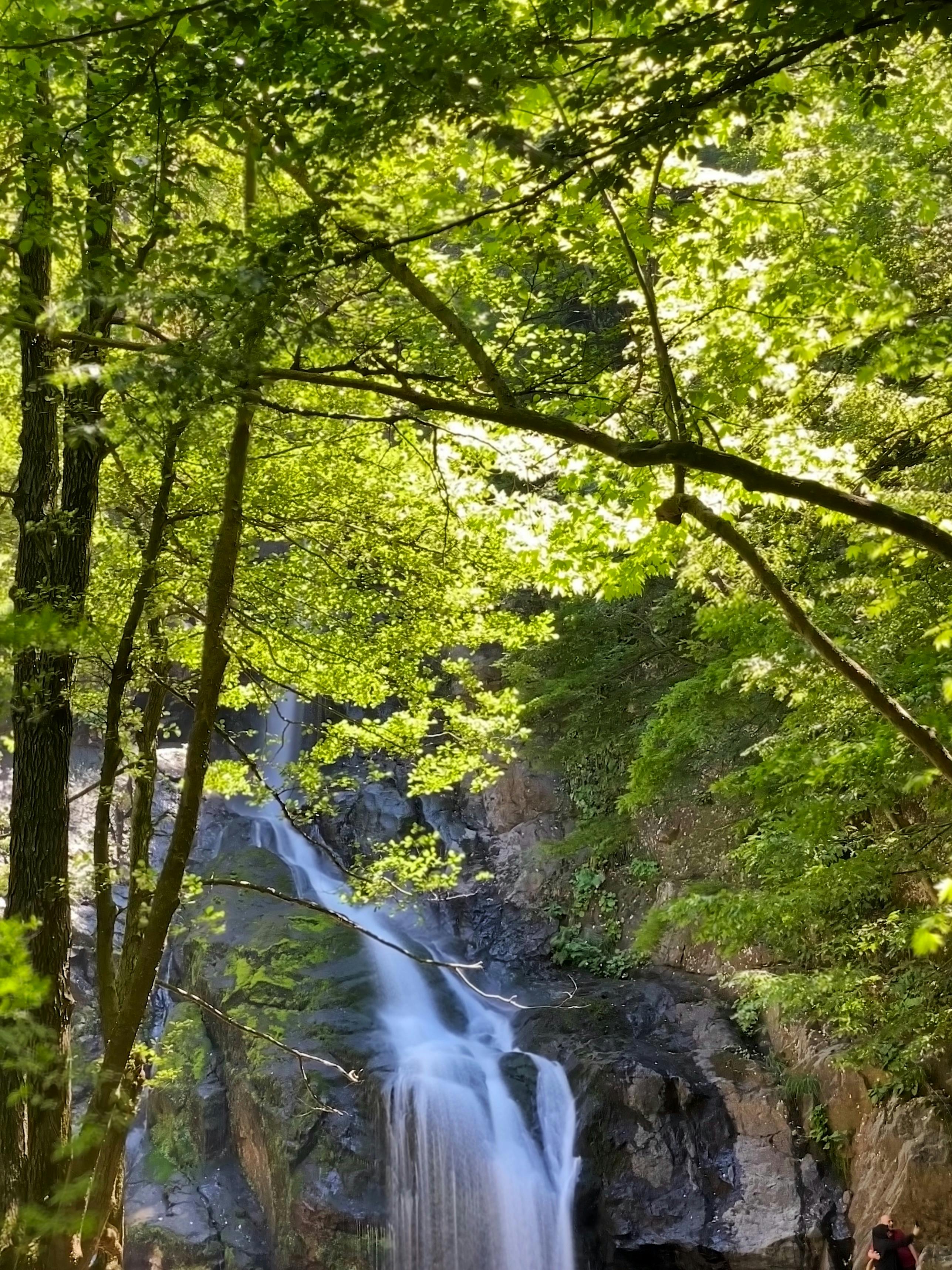 dilan archive - Photography