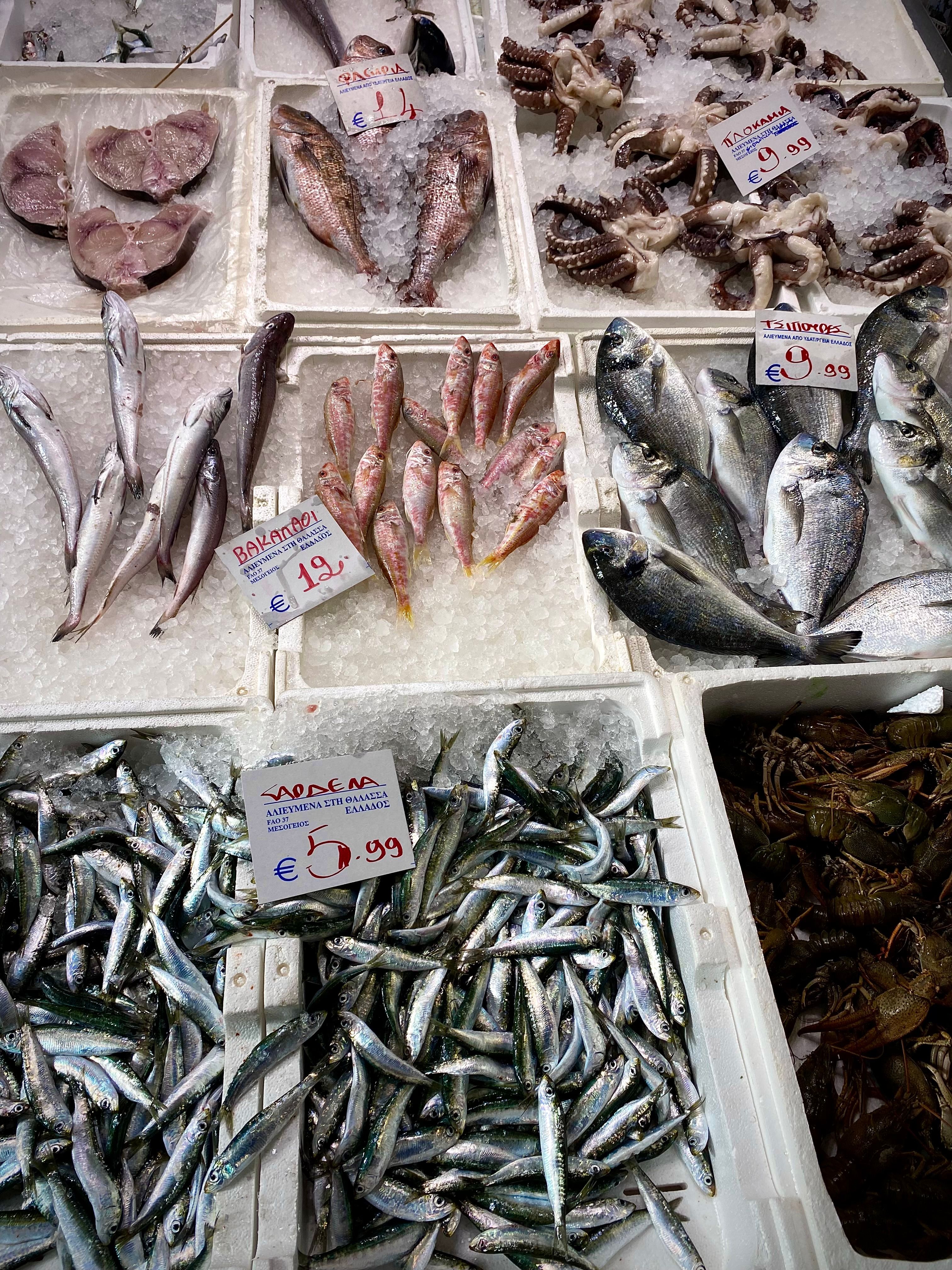 Msc Fish Label Photos, Download The BEST Free Msc Fish Label Stock ...