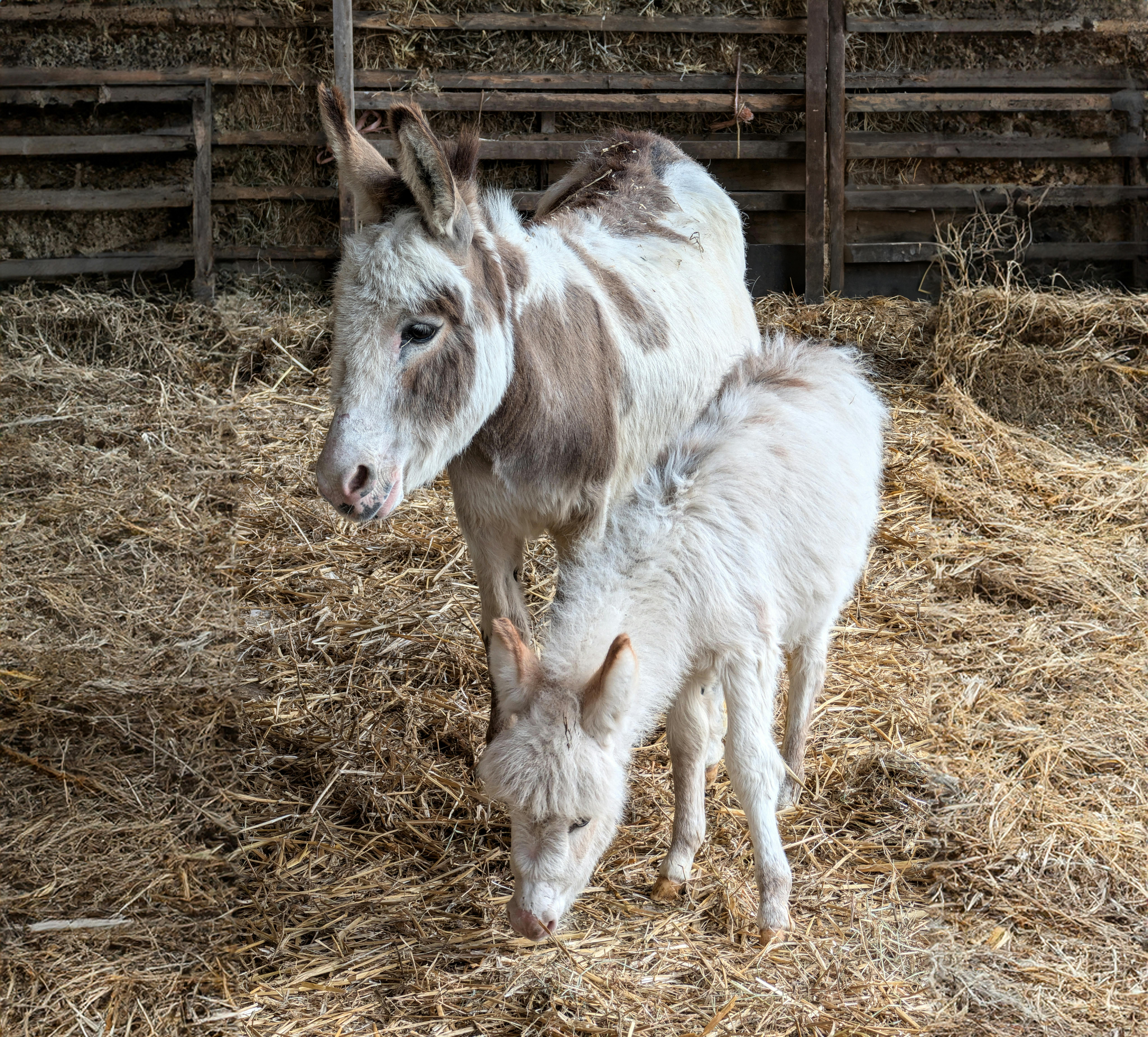 George Piskov - Photography