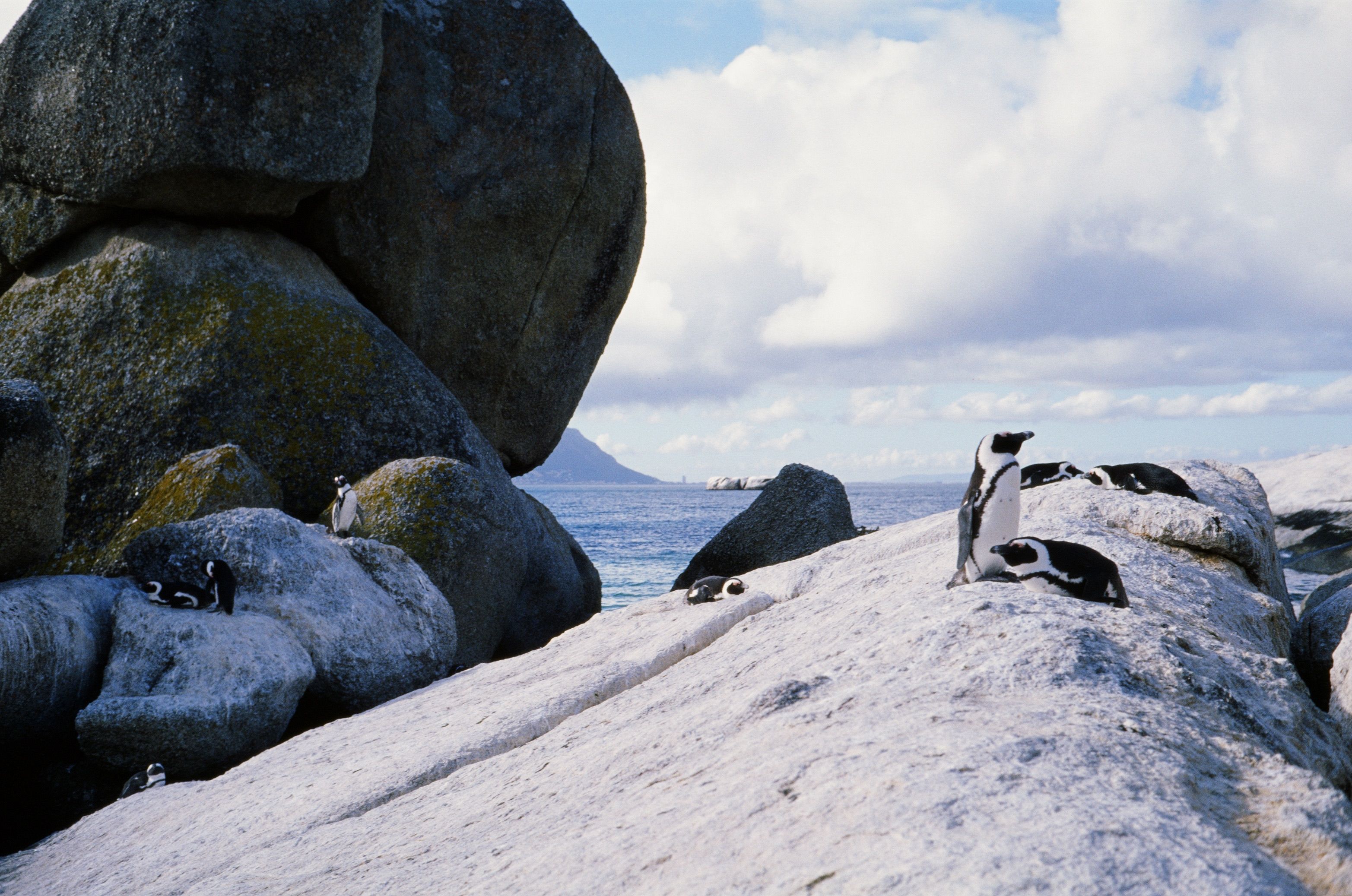 African Boulders Photos, Download The BEST Free African Boulders Stock ...