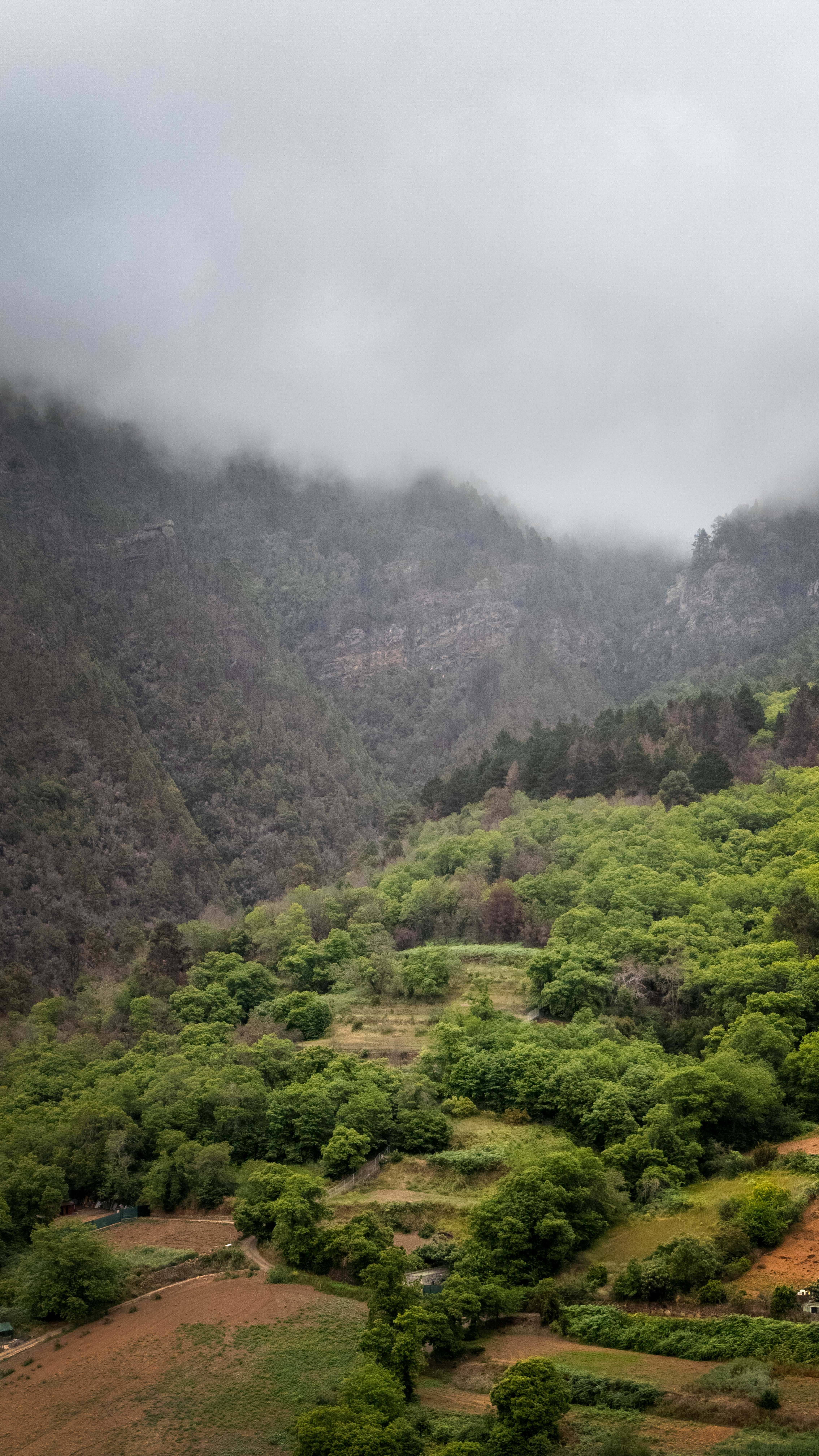 A valley with trees and green vegetation under a cloudy sky · Free ...