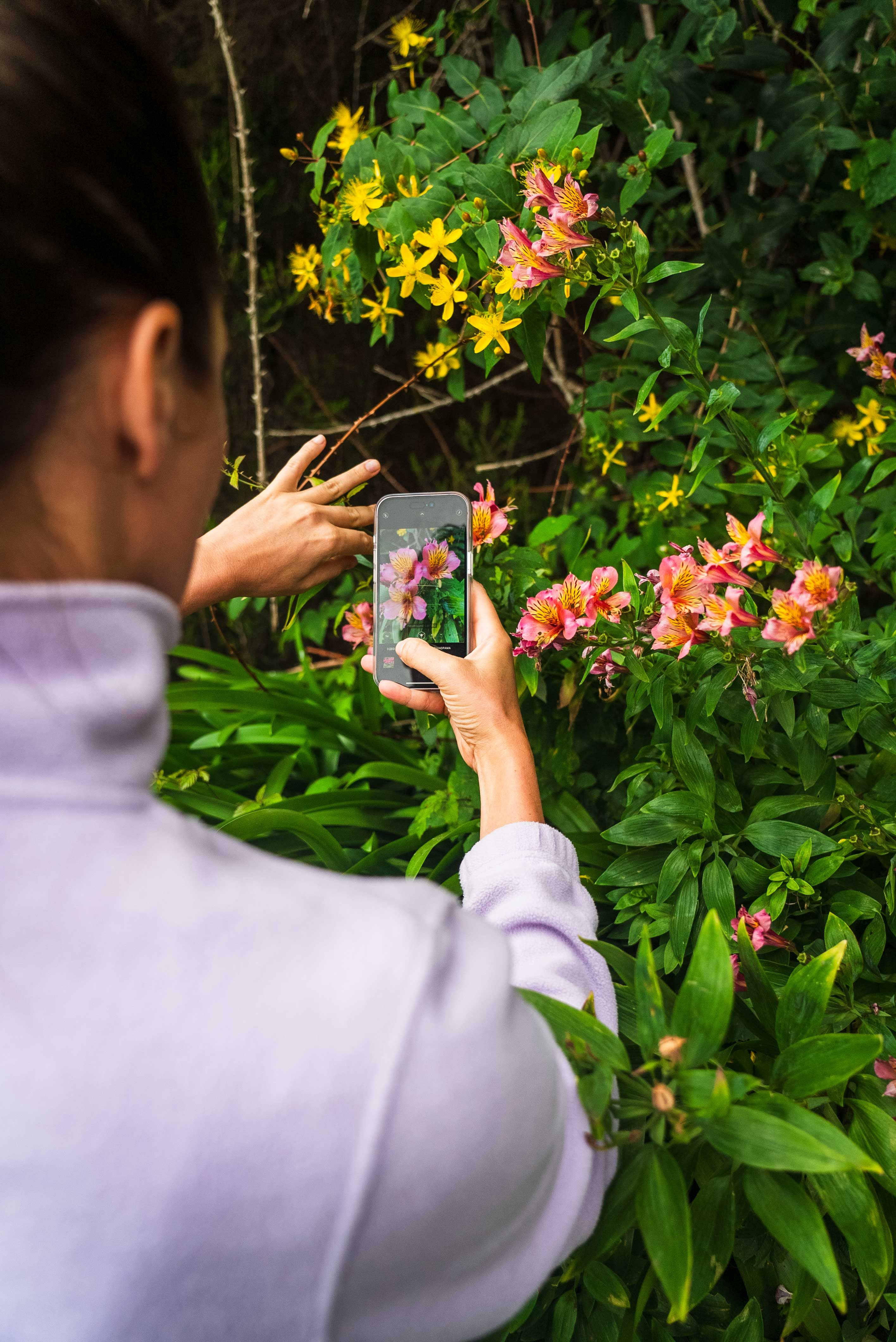 Woman Taking Pictures of Flowers · Free Stock Photo