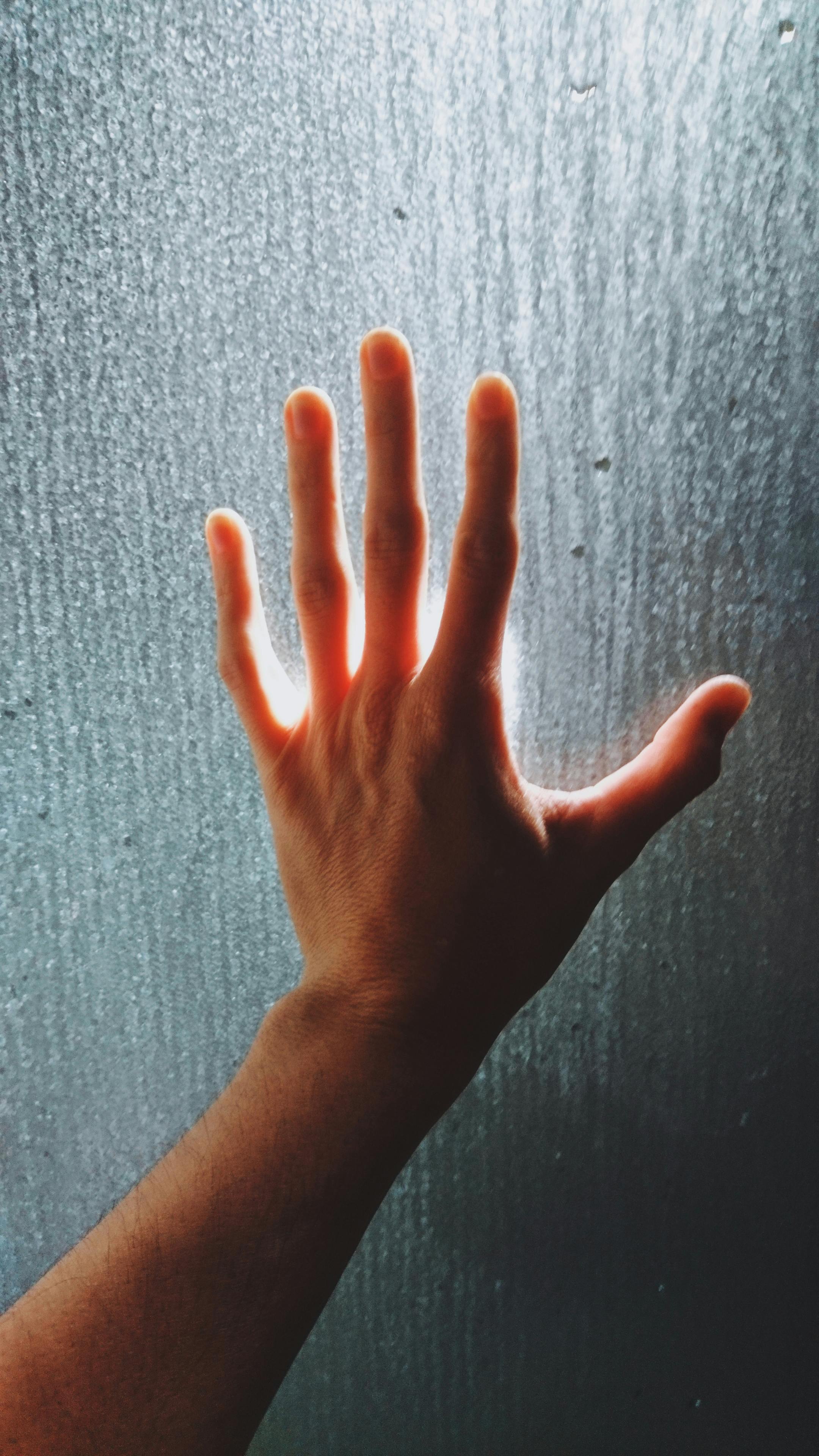 Human Hand in Sunlight · Free Stock Photo