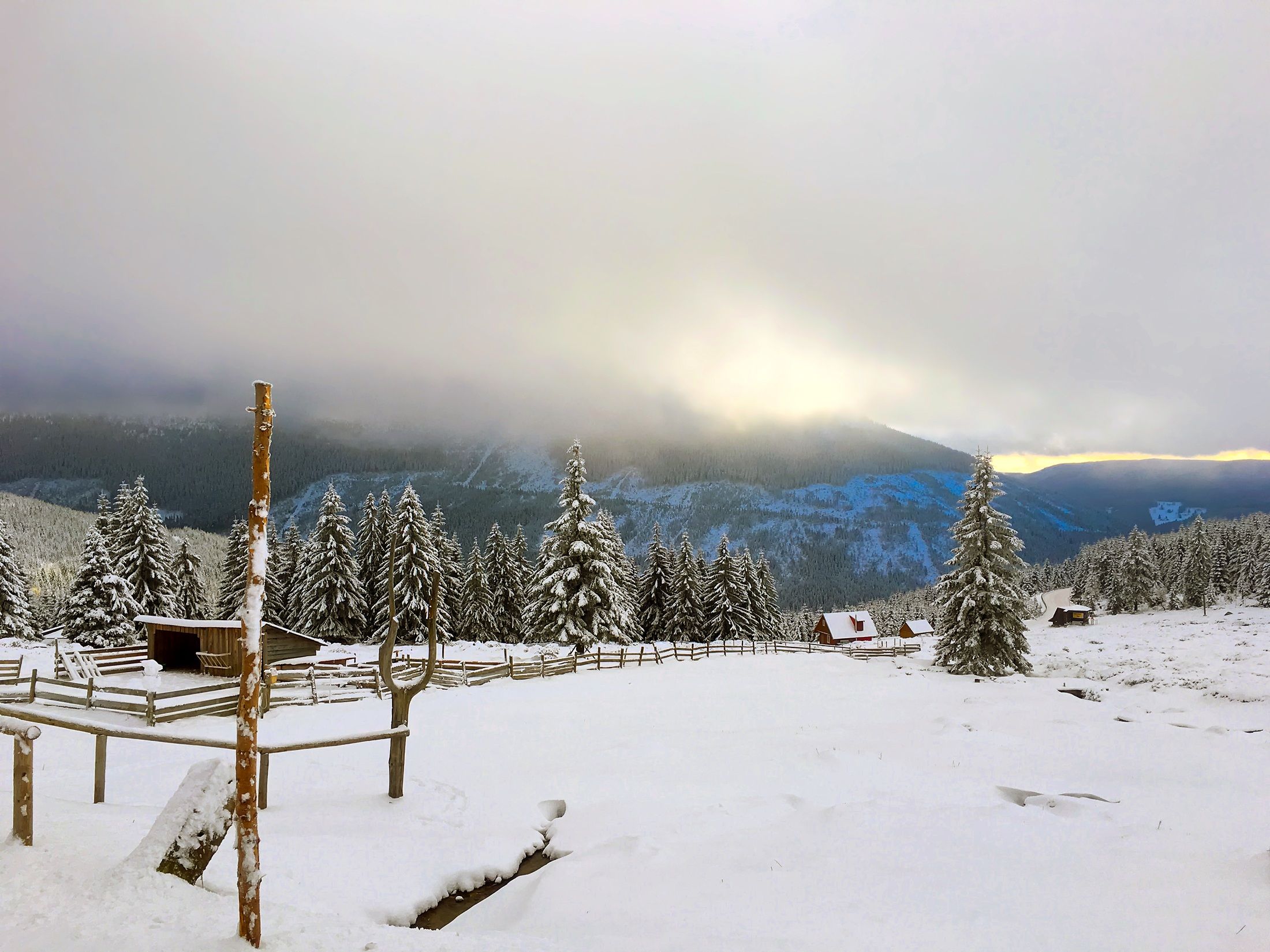 Free stock photo of alps, austria, blue sky