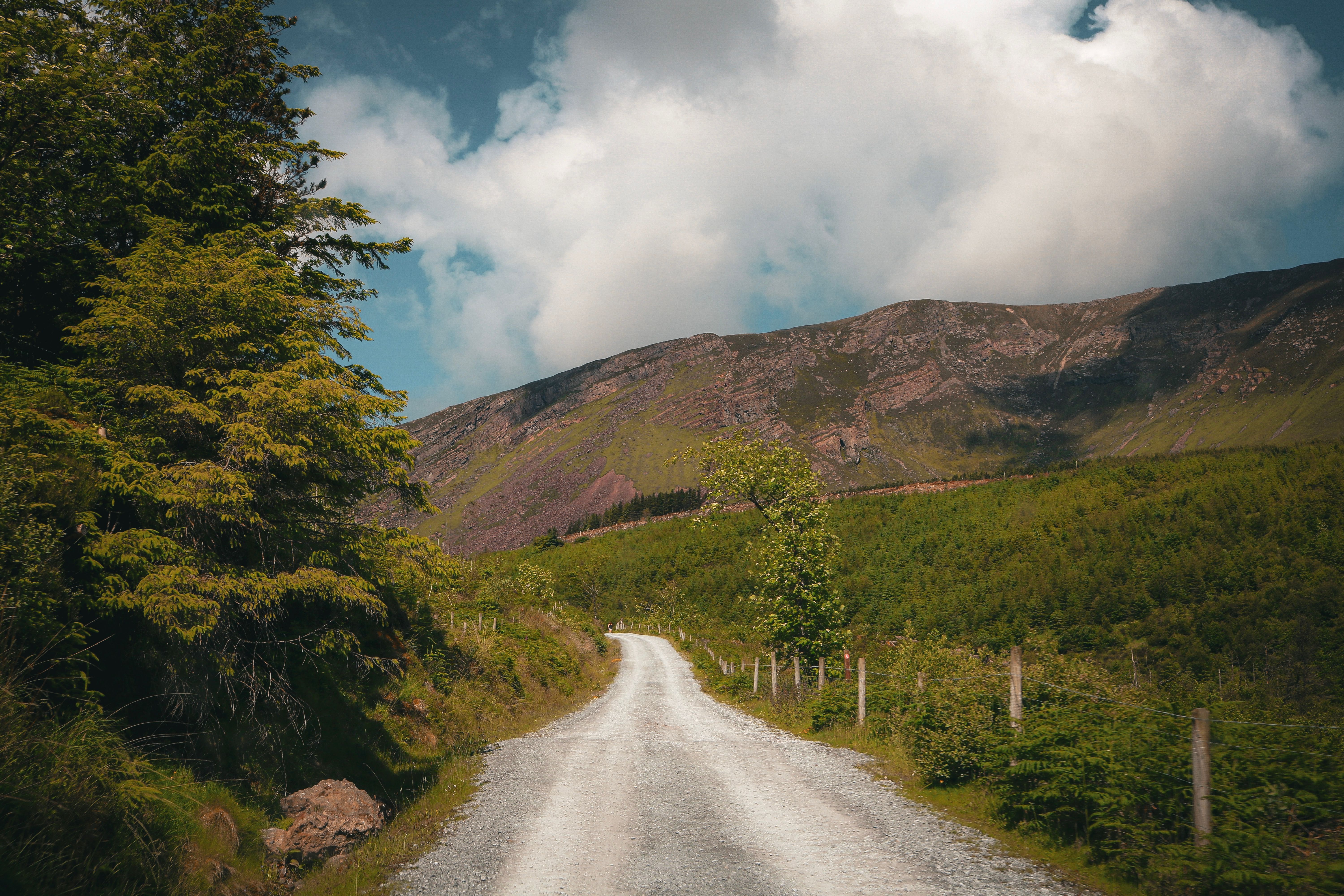 Curved Rural Road without Lines · Free Stock Photo