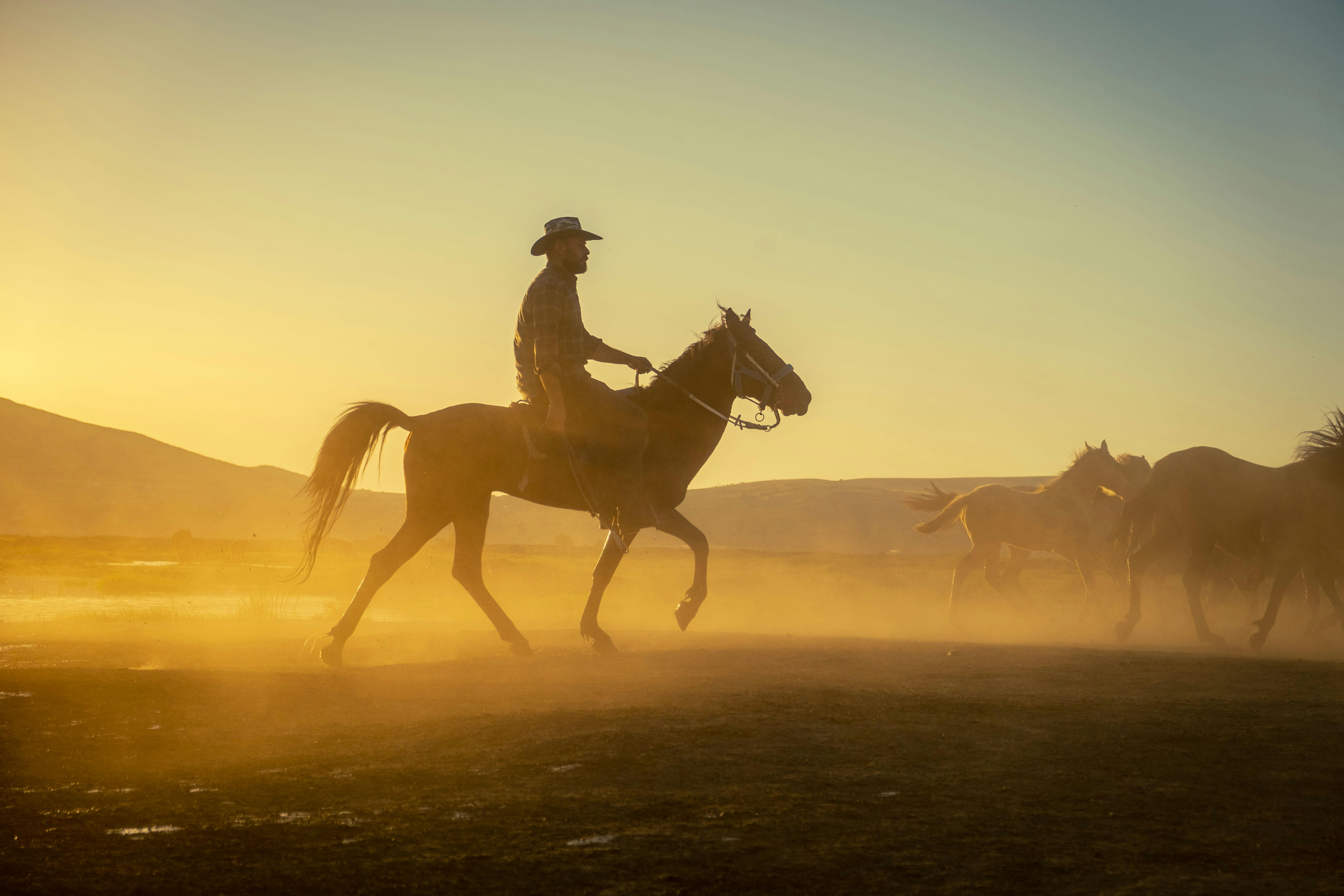A cowboy rides his horse through the desert at sunset · Free Stock Photo
