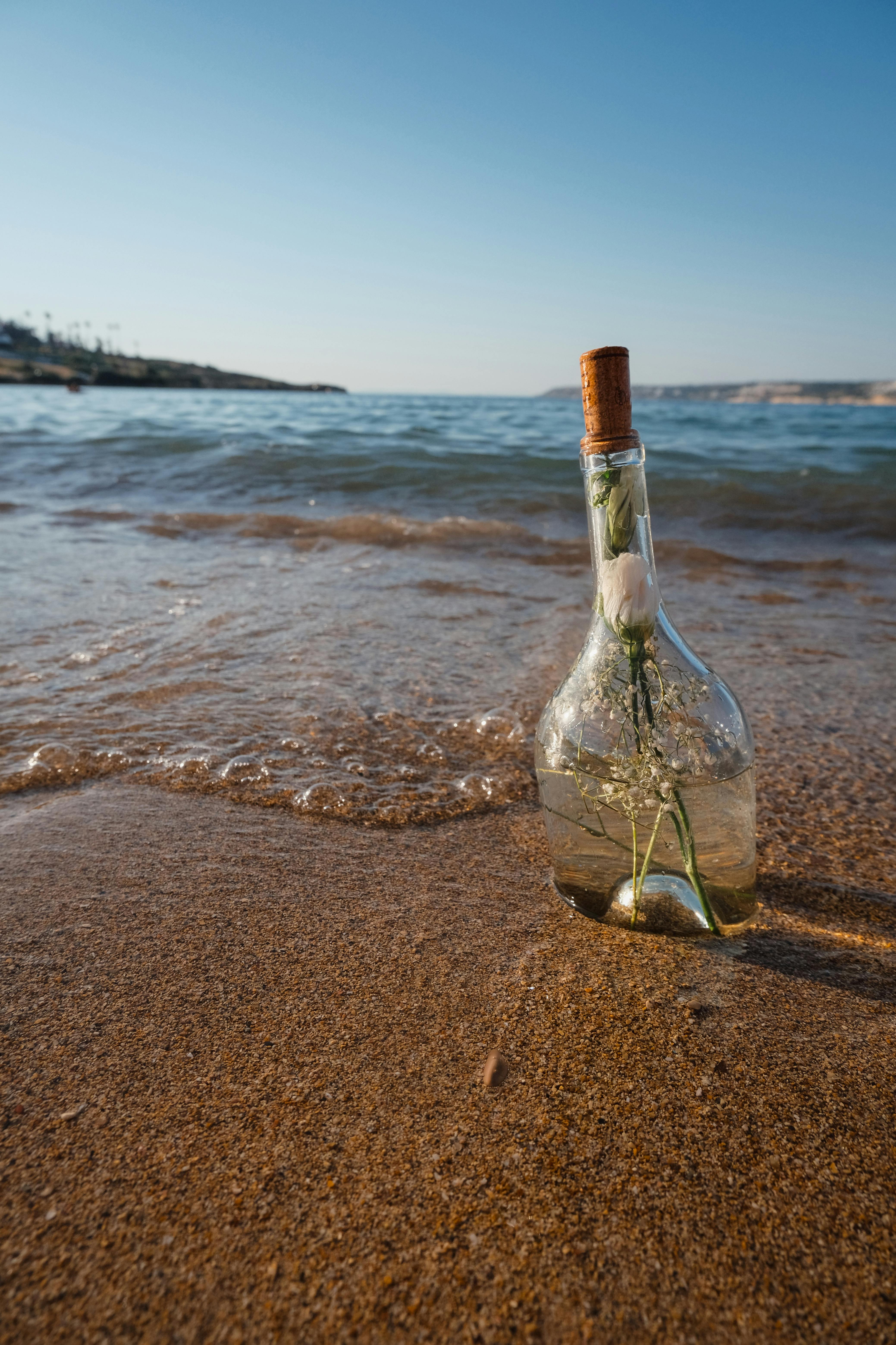 Aesthetic Sand Alone Flowers Photos, Download The BEST Free Aesthetic ...