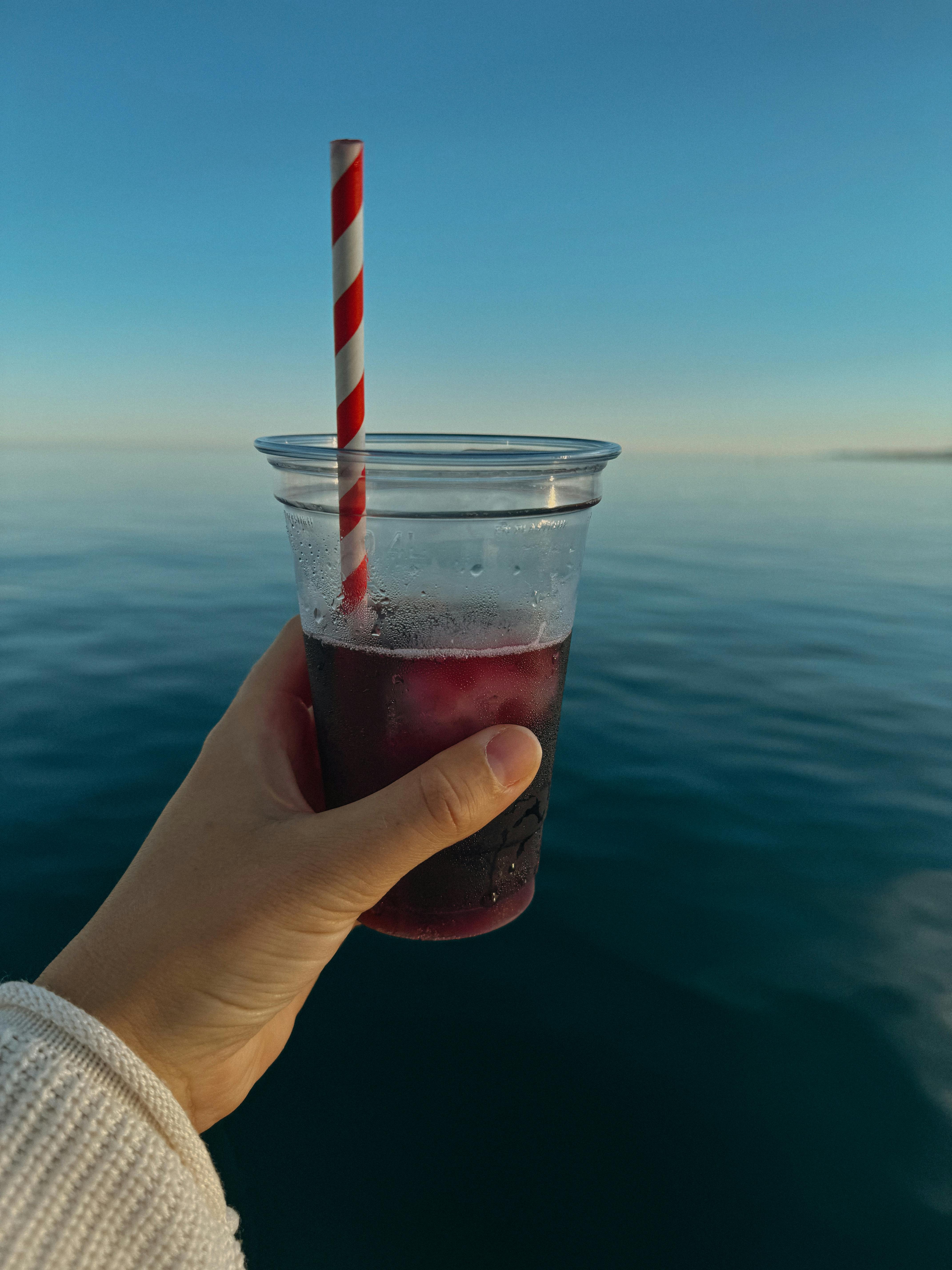 Sea Turtles Get Stuck In A Straw Photos, Download The BEST Free Sea ...