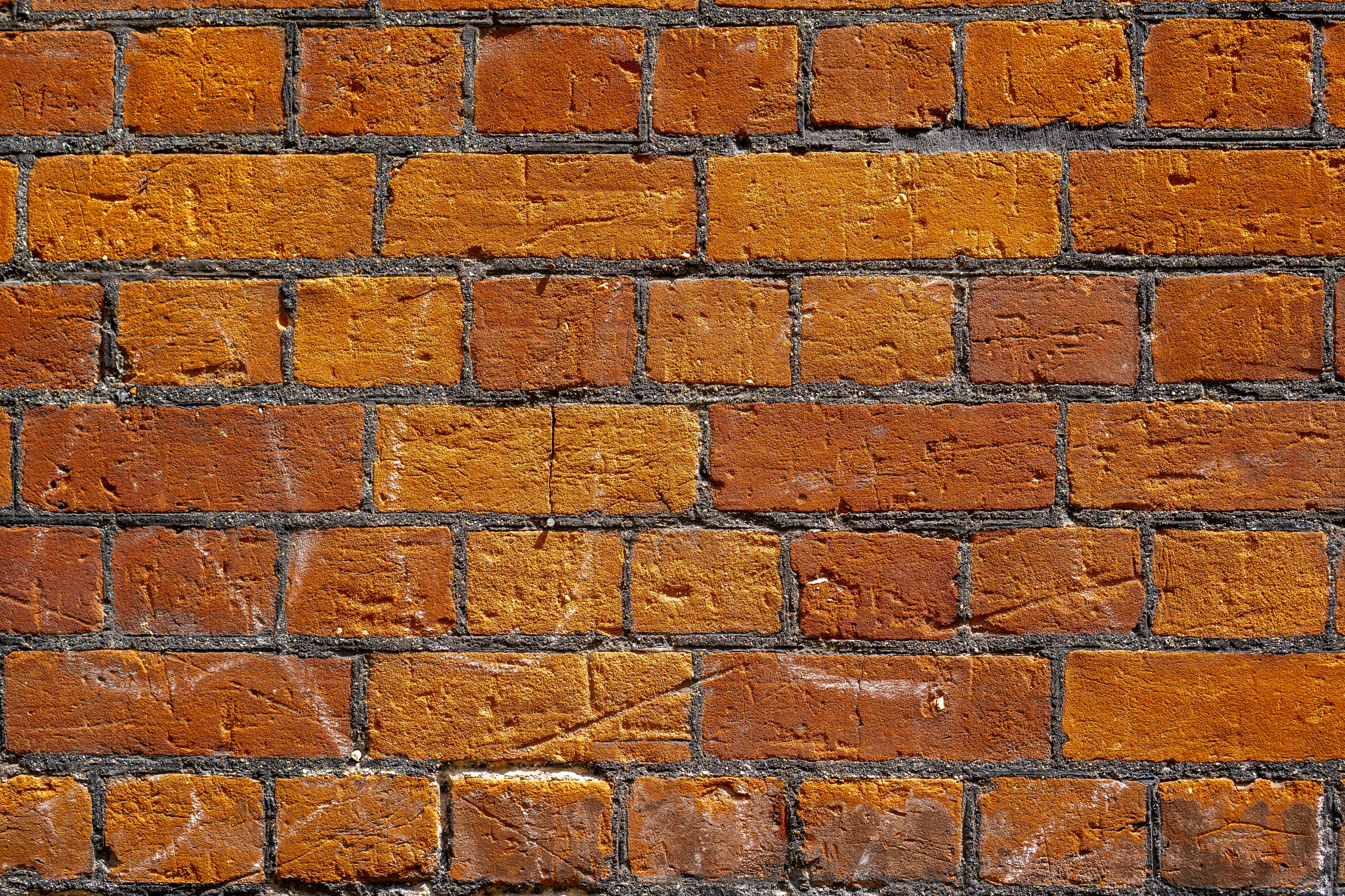 Close-up of a Brick Wall · Free Stock Photo
