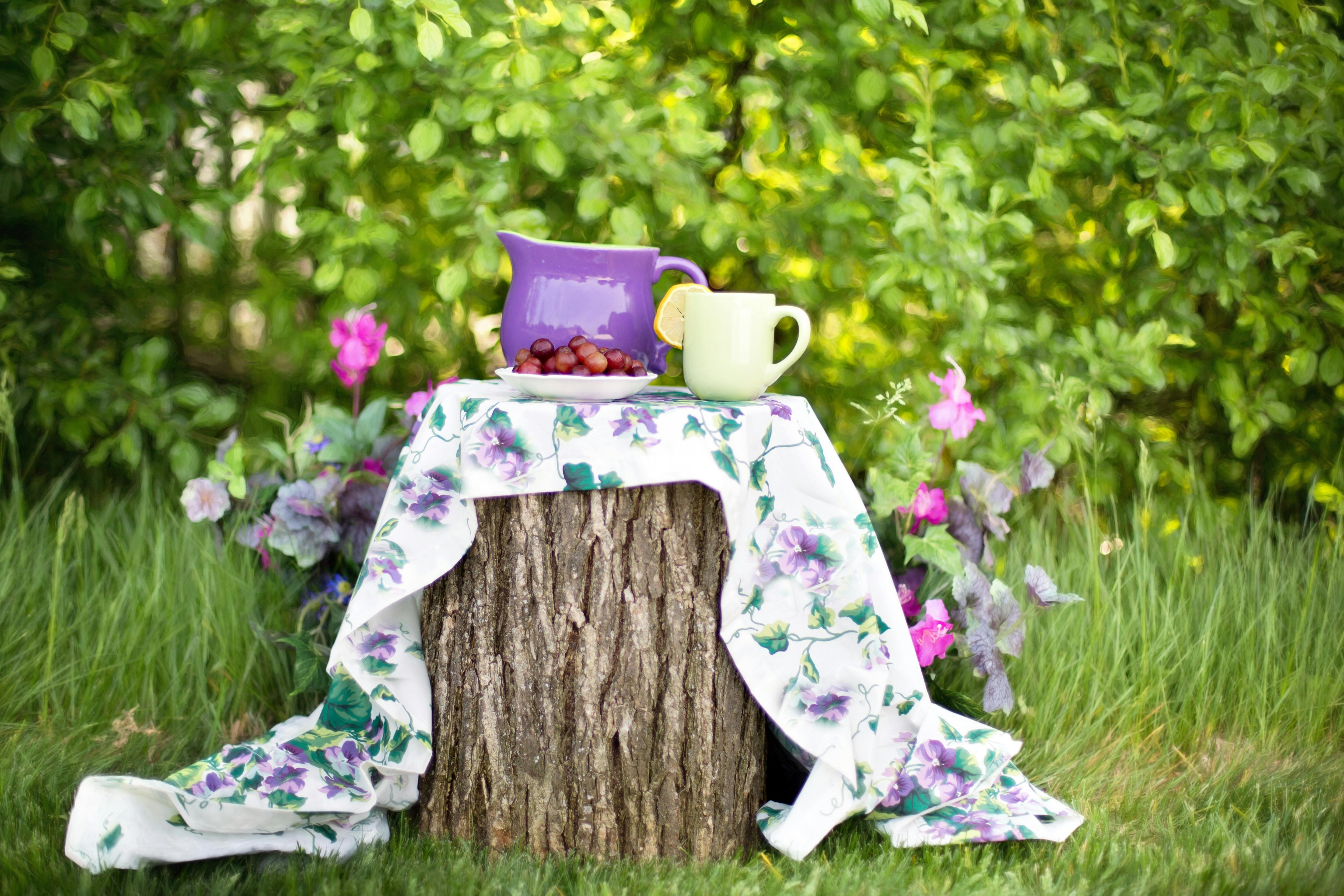 500+ Interesting Tea Party Photos · Pexels · Free Stock Photos