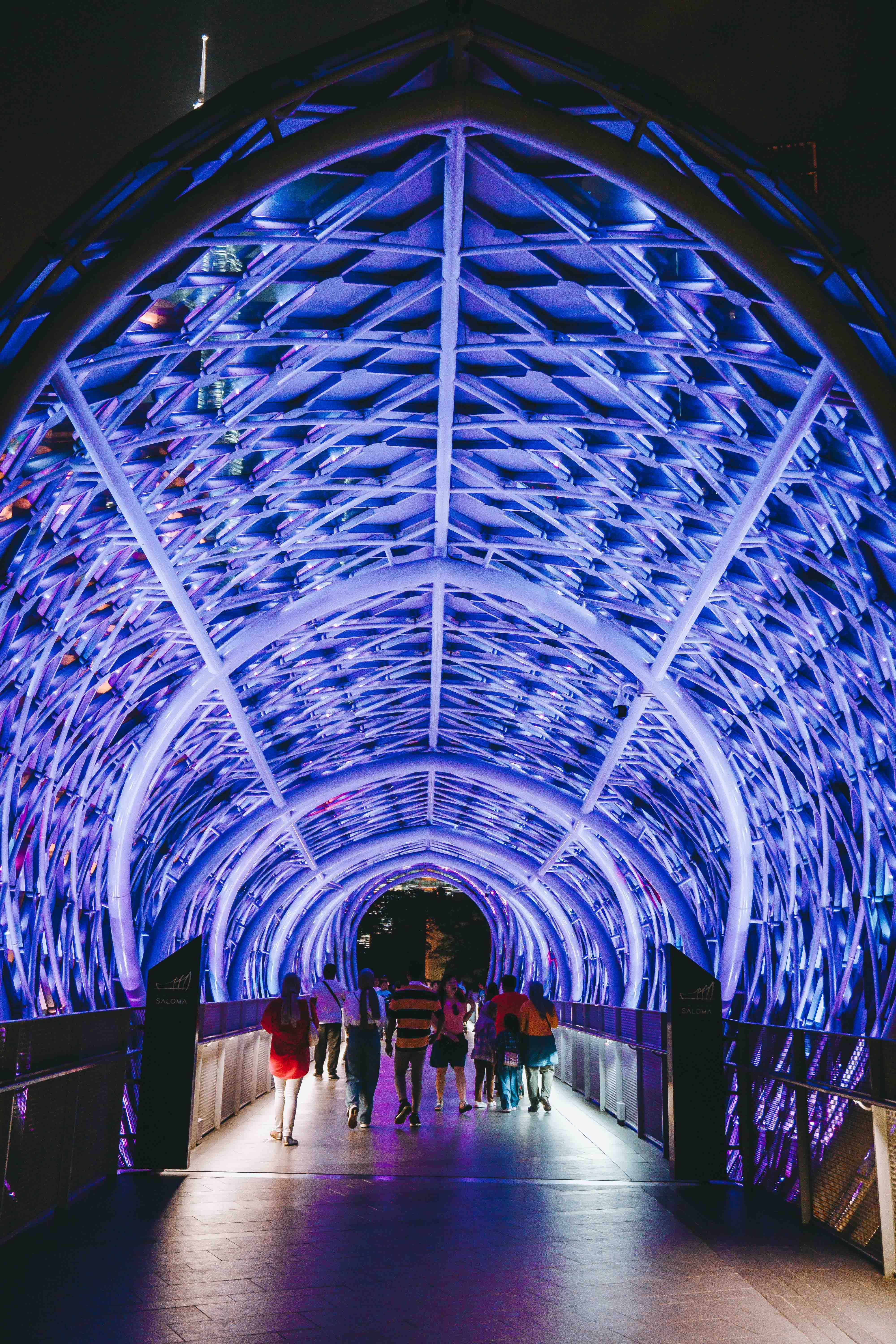 Trellis over Walkway and Cycle Path · Free Stock Photo