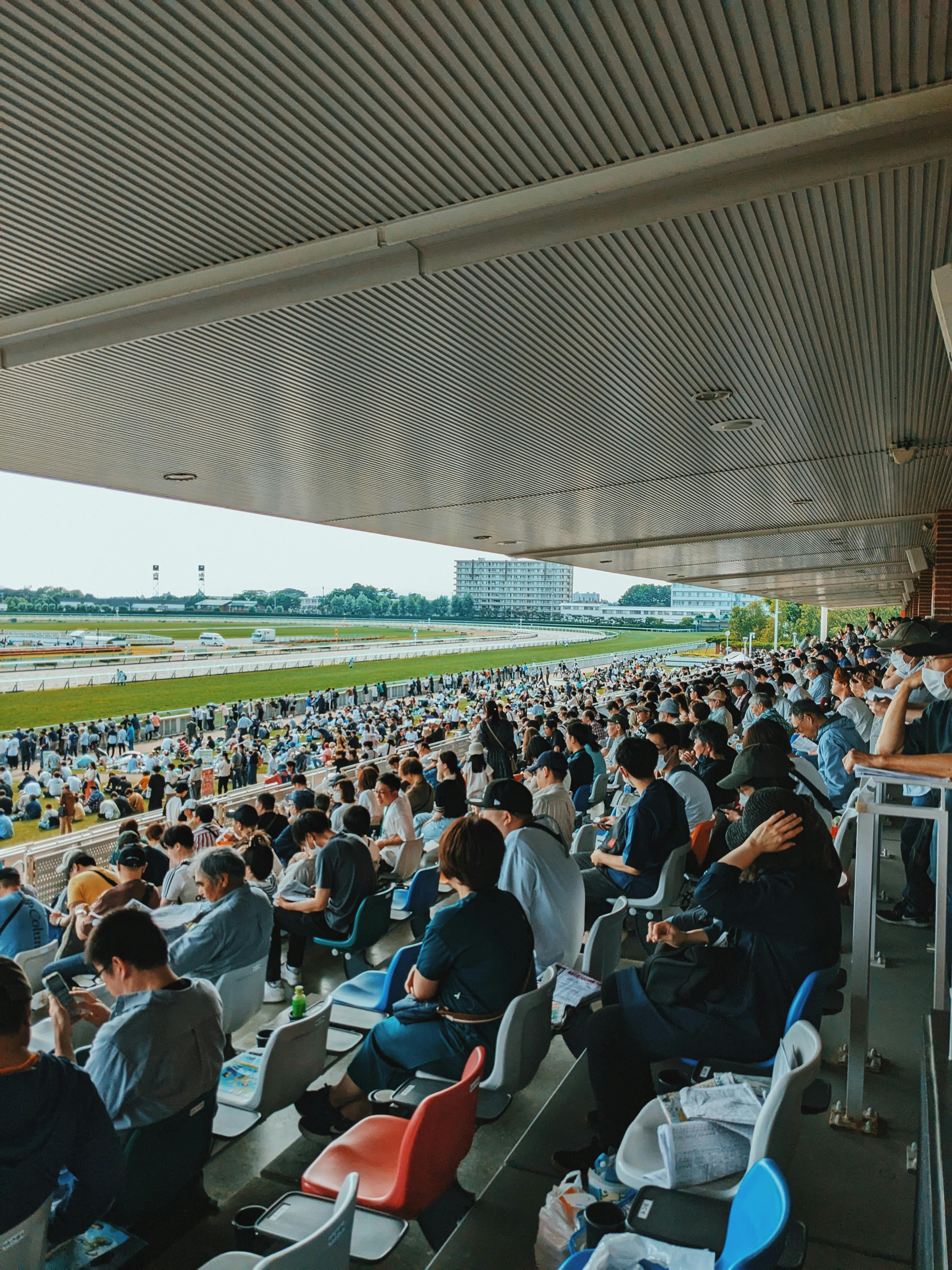Audience in the Stadium Stands · Free Stock Photo