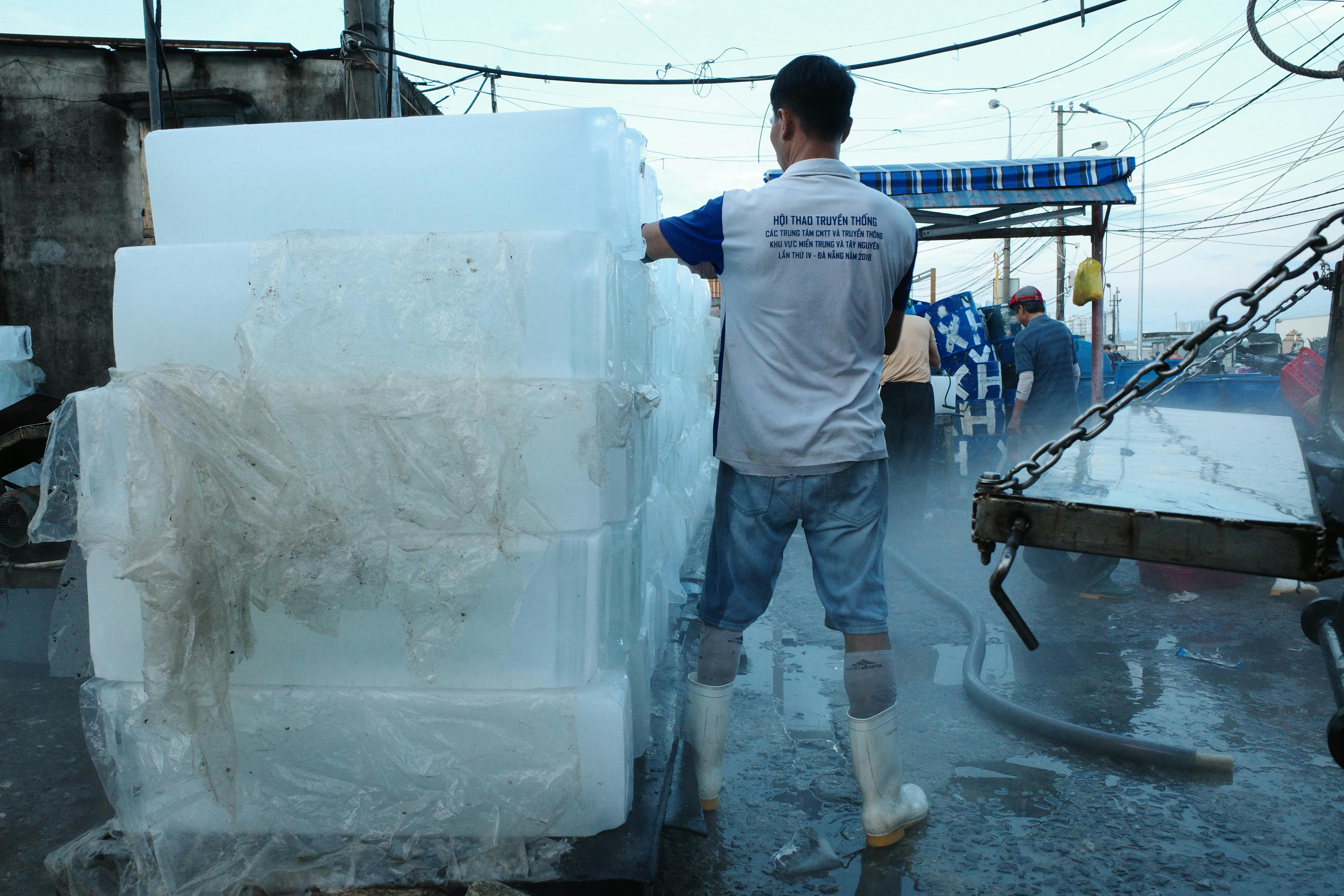 Man Unloading Ice Blocks at a Fish Market · Free Stock Photo