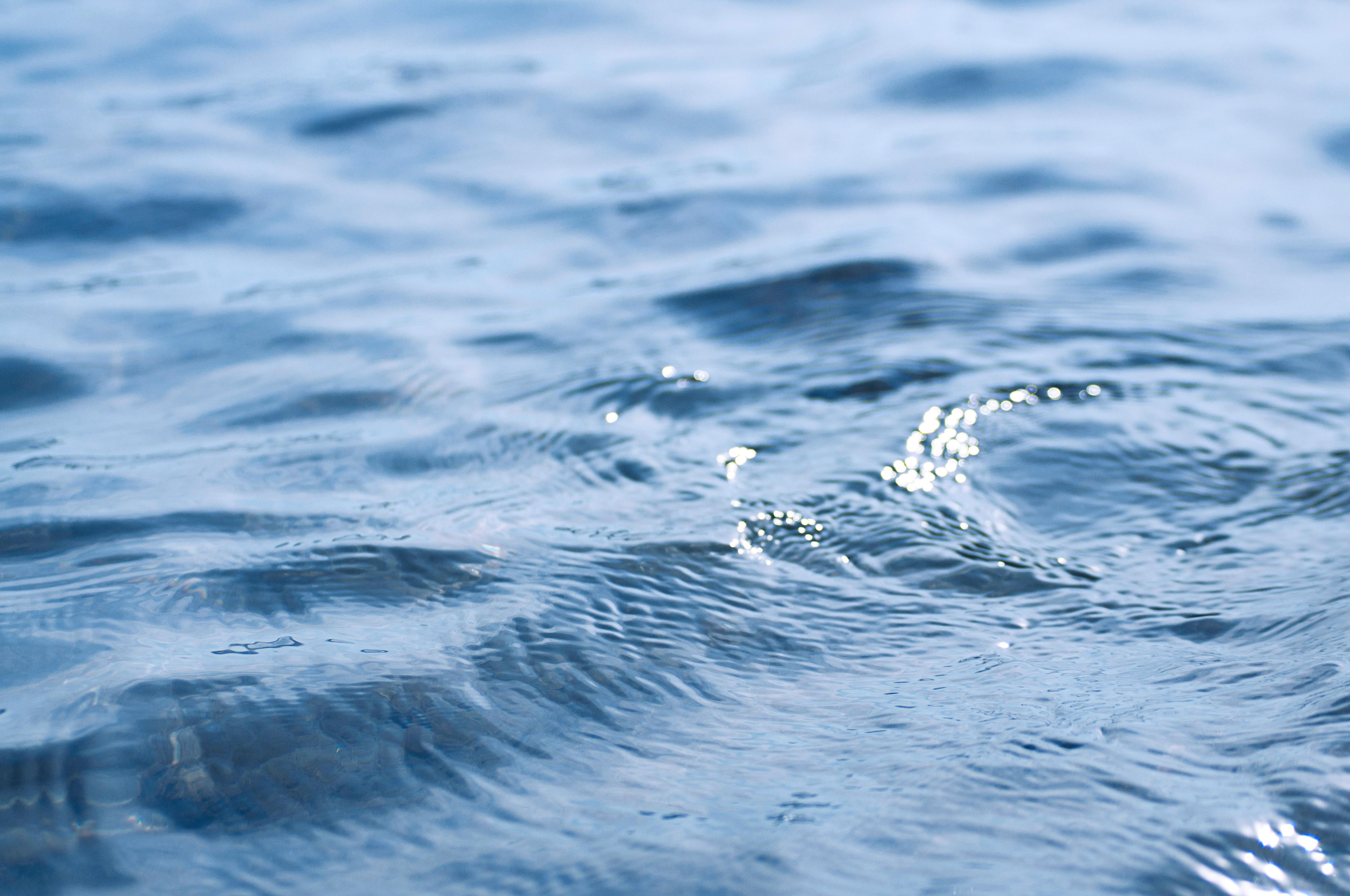 Rippling Ocean Surface · Free Stock Photo