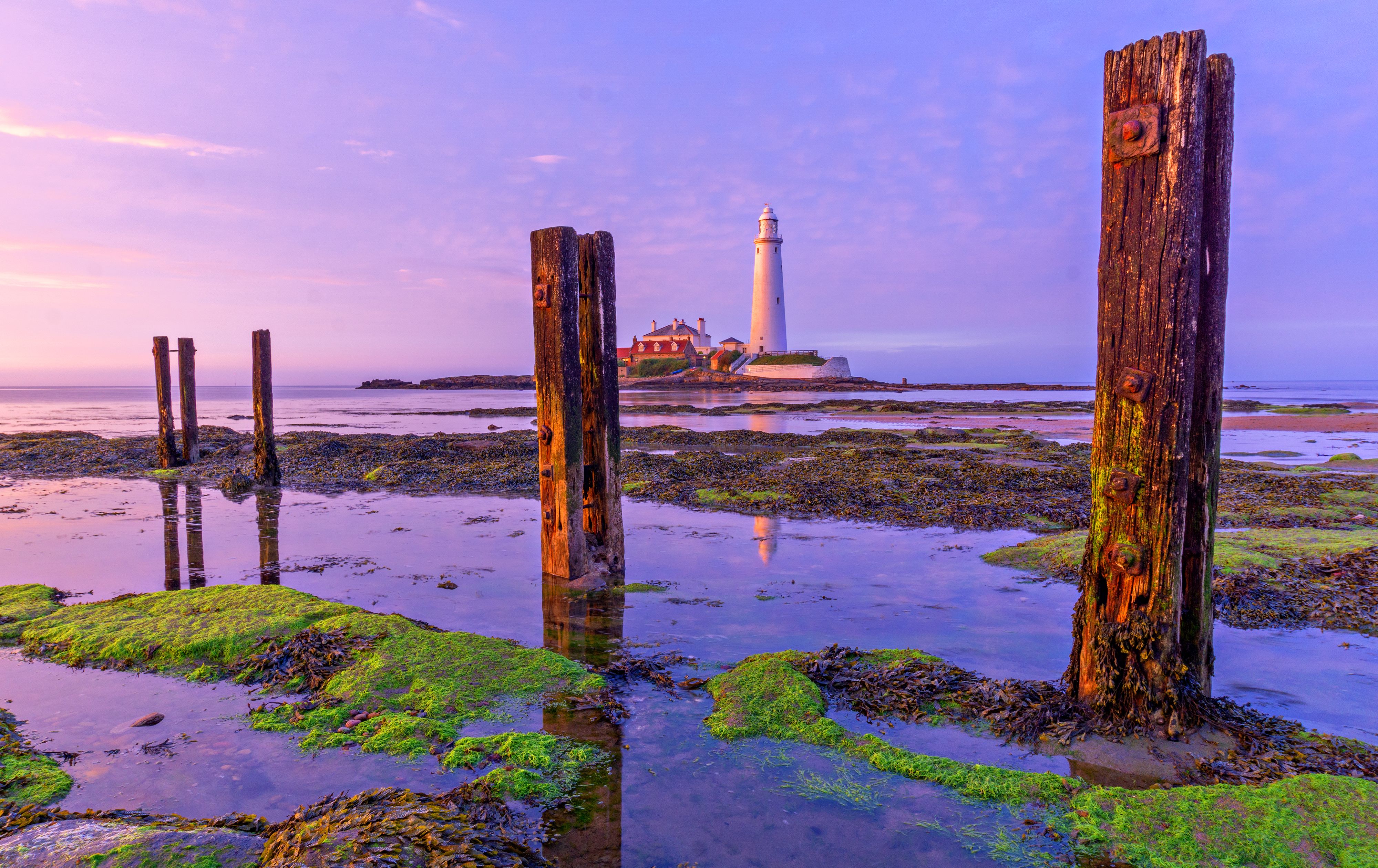 A lighthouse is in the distance with some wooden posts · Free Stock Photo