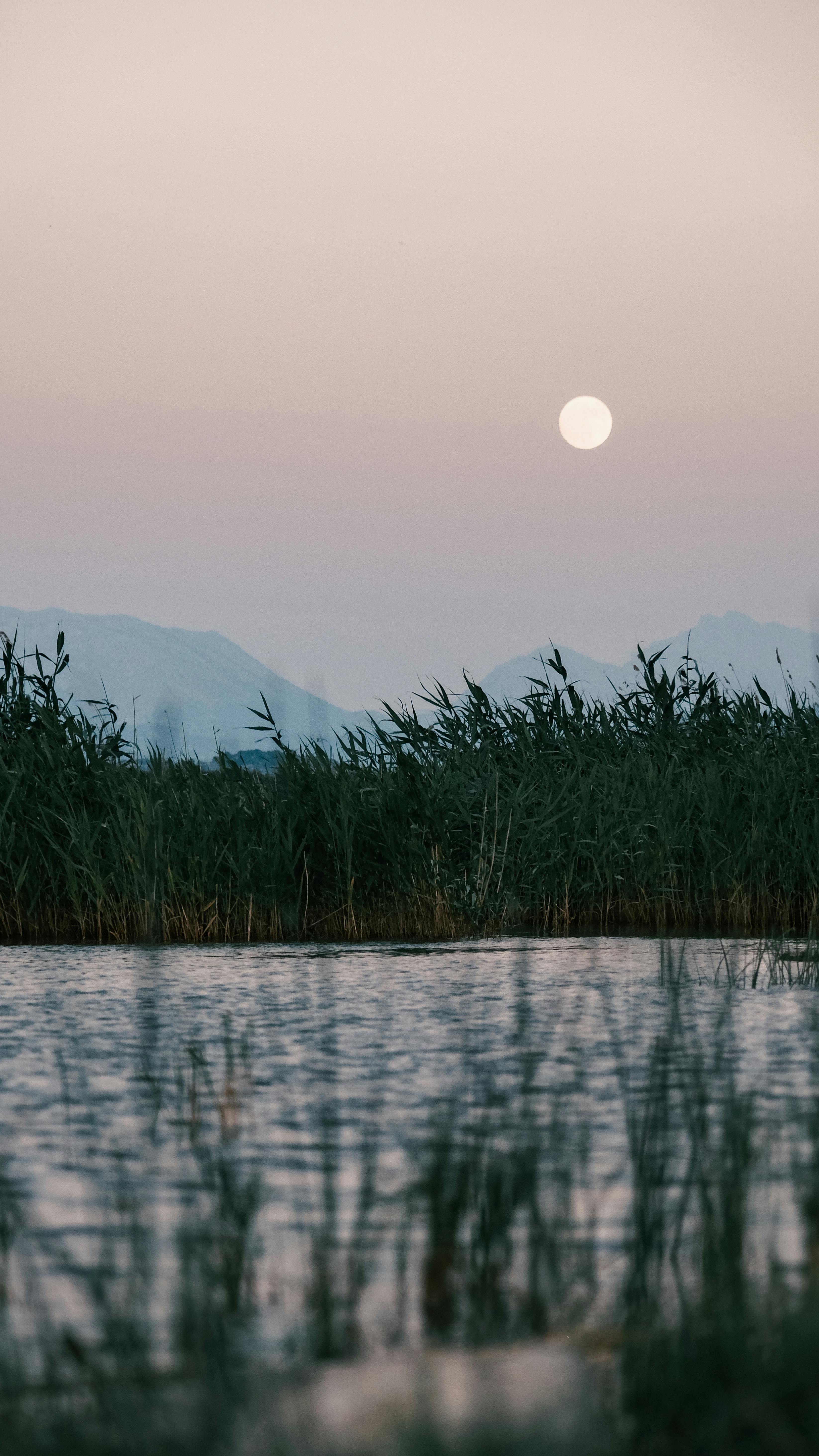 Isla Moon Only Fans Leaks Photos, Download The BEST Free Isla Moon Only ...